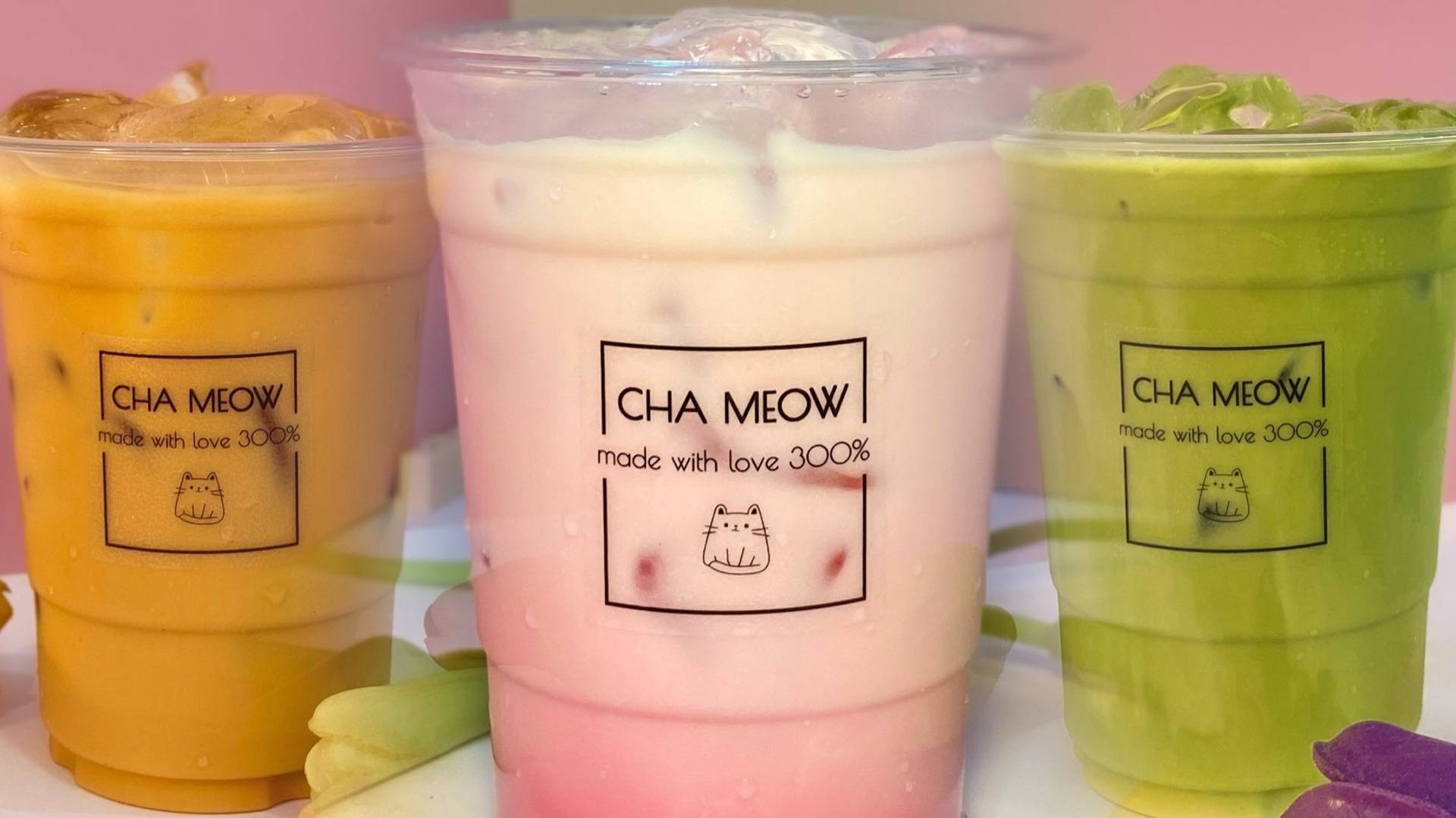 CHA MEOW - สั่งอาหารเดลิเวอรี | Wongnai x LINE MAN