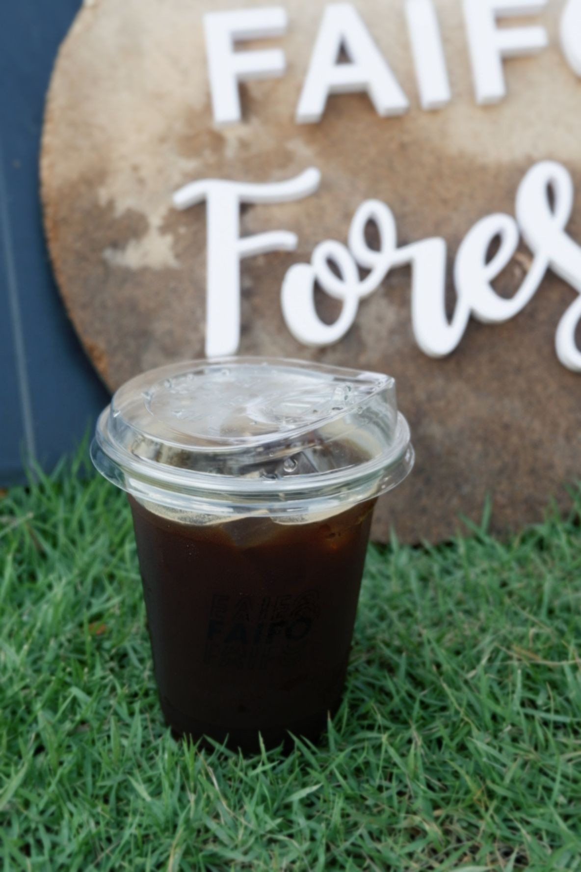 รีวิว Faifo Forest