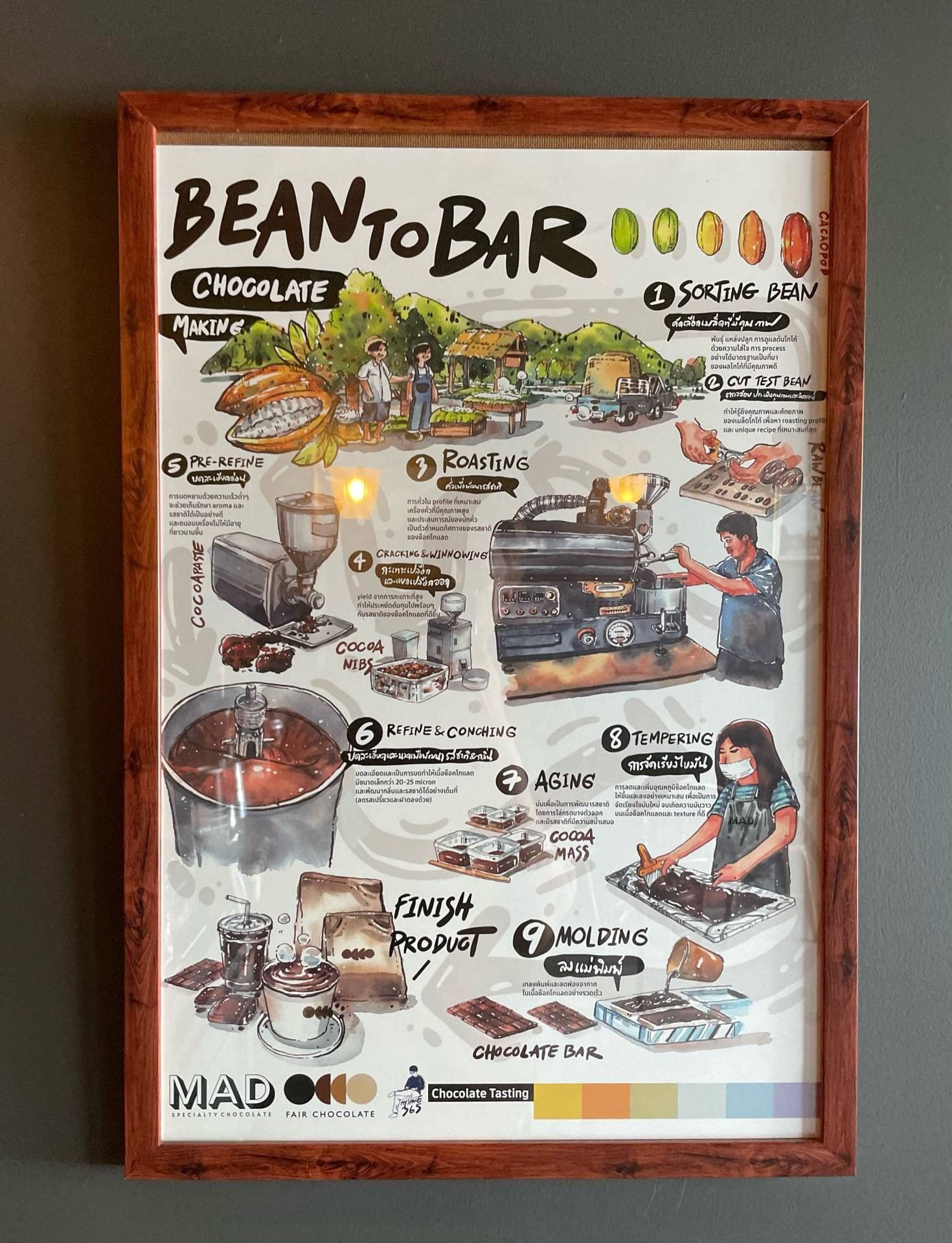 🌰 Beans To Bar. ร้าน Behind The Beans