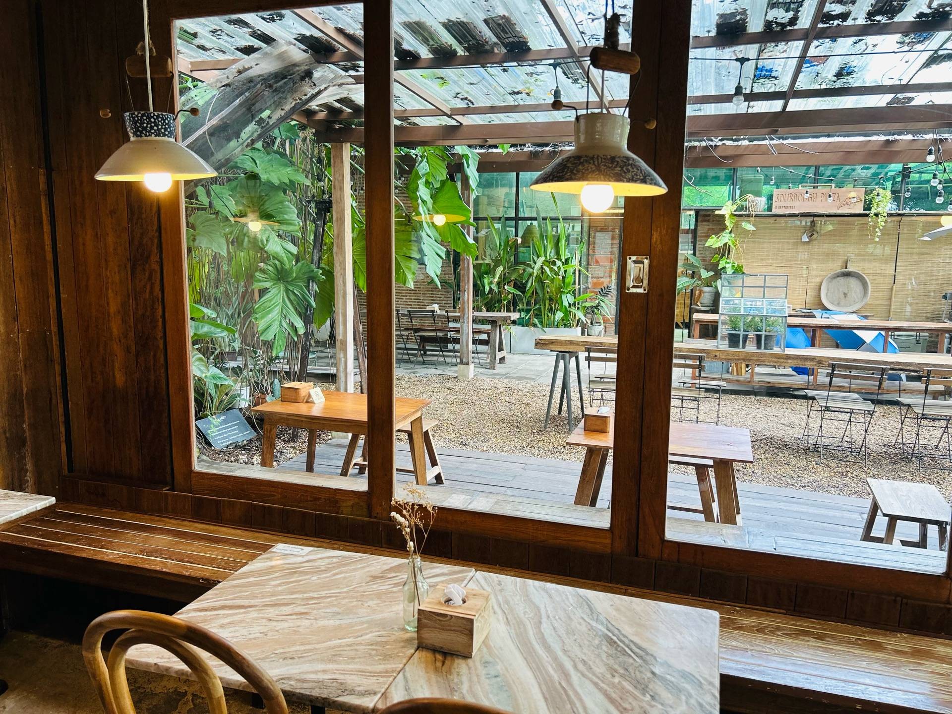 รูป 9th September Eat Drink Tree