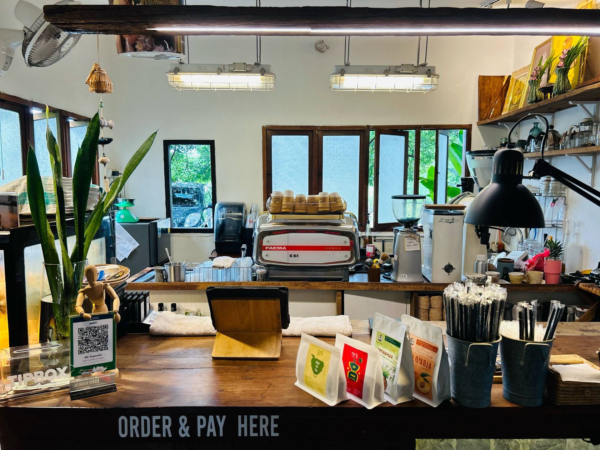รูป 9th September Eat Drink Tree