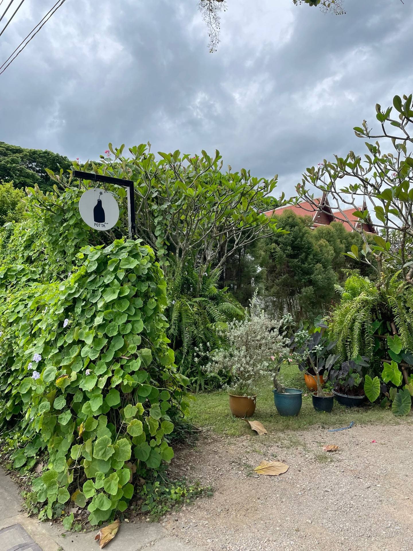 รีวิว Potta - หอมอร่อยแบบลับ ฉบับไม่อยากให้ใครรู้ว่า ของเขาดีจริง ...