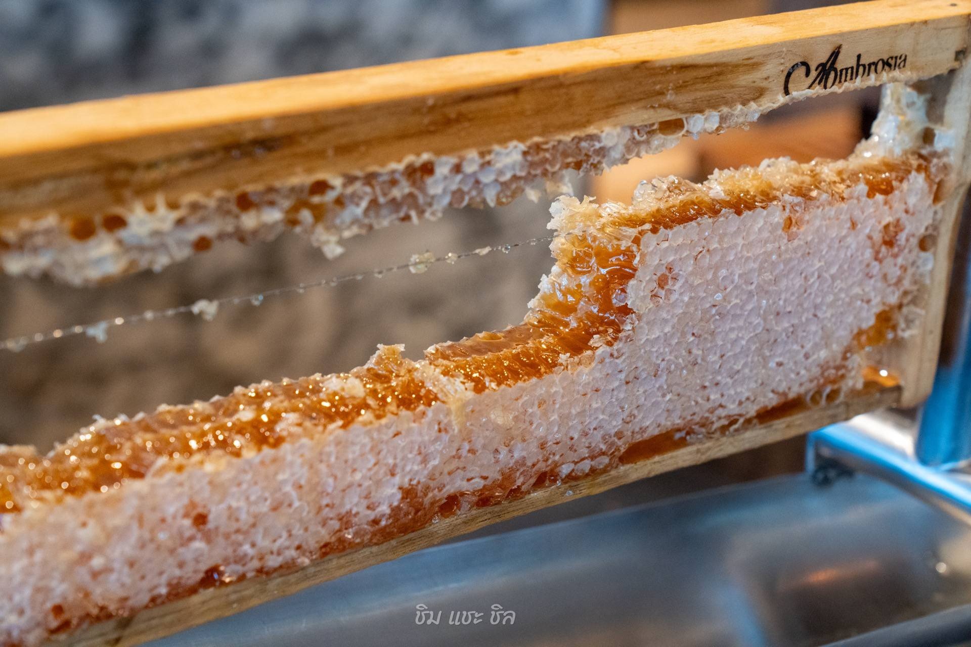 รูป JW Café JW Marriott Hotel Bangkok