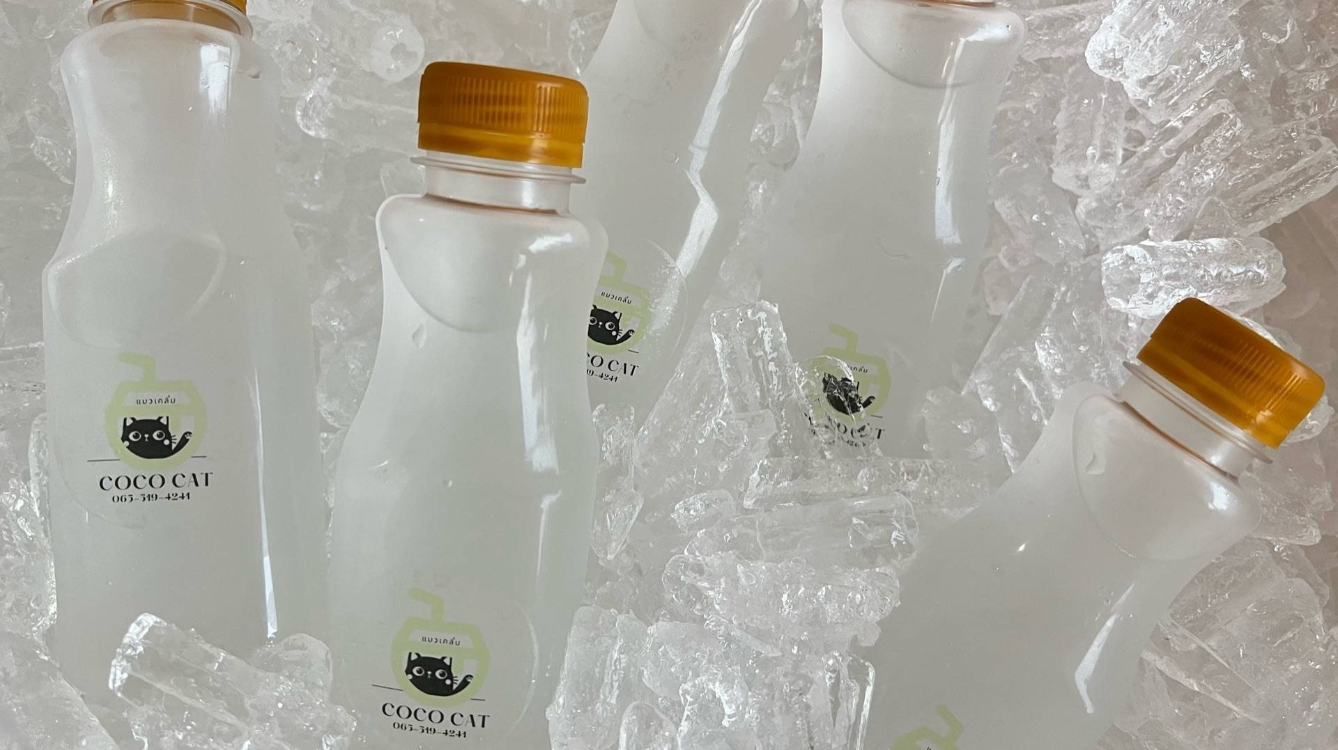 Coco Cat by แมวเคลิ้ม - สั่งอาหารเดลิเวอรี | Wongnai x LINE MAN