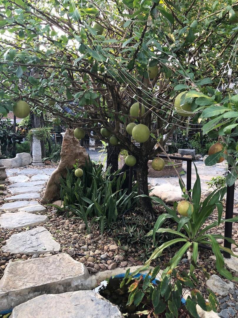 รูป Area Five Café and Eatery