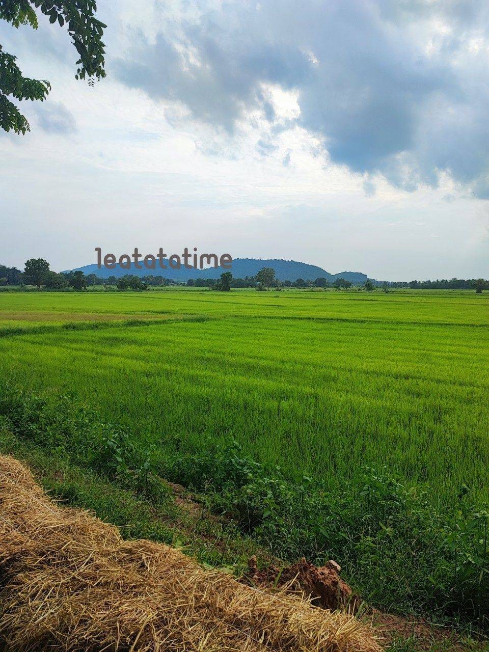 ร้าน The Grounds Cafe | รีวิวร้านอาหาร