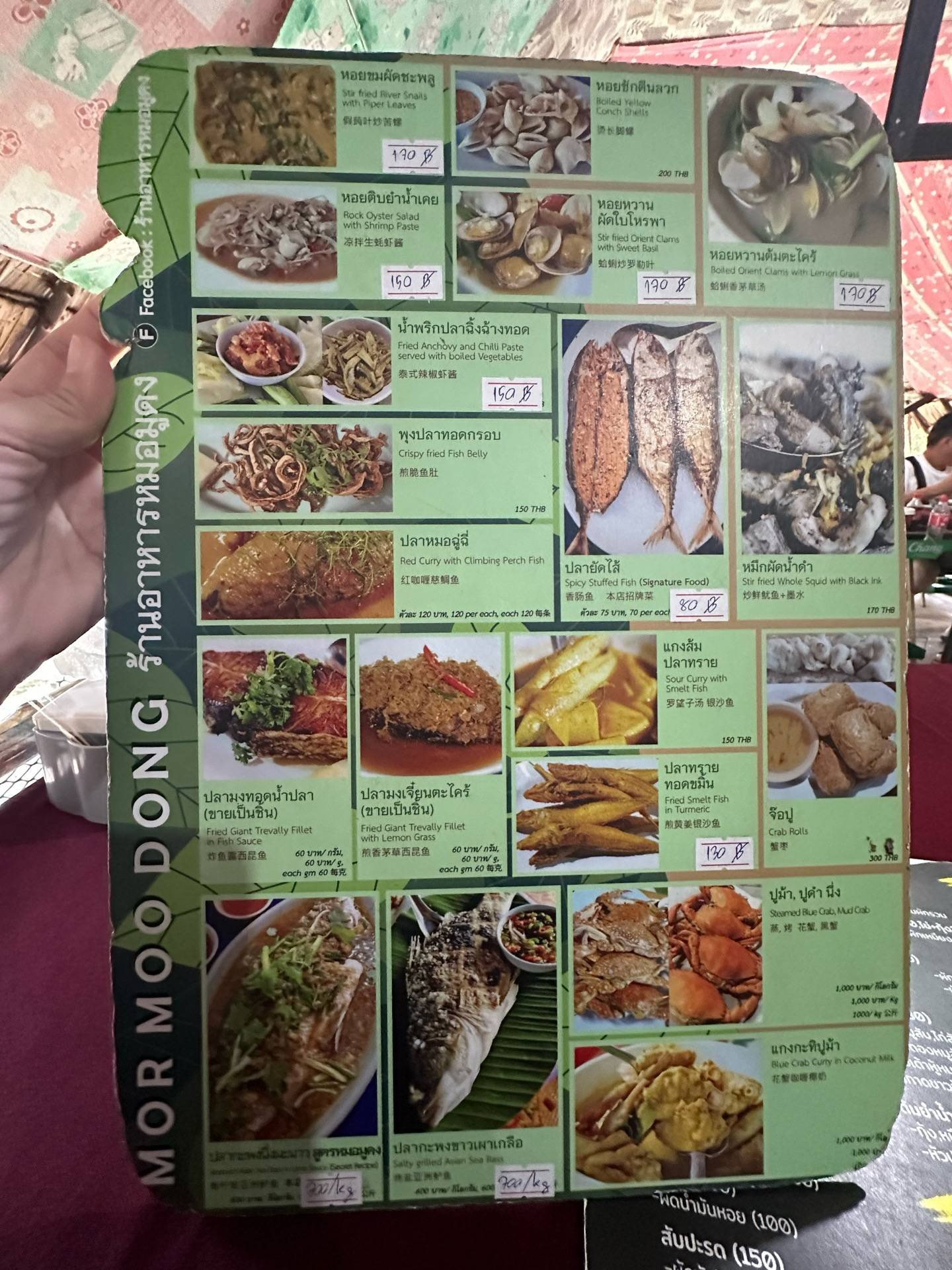 รูป หมอมูดง