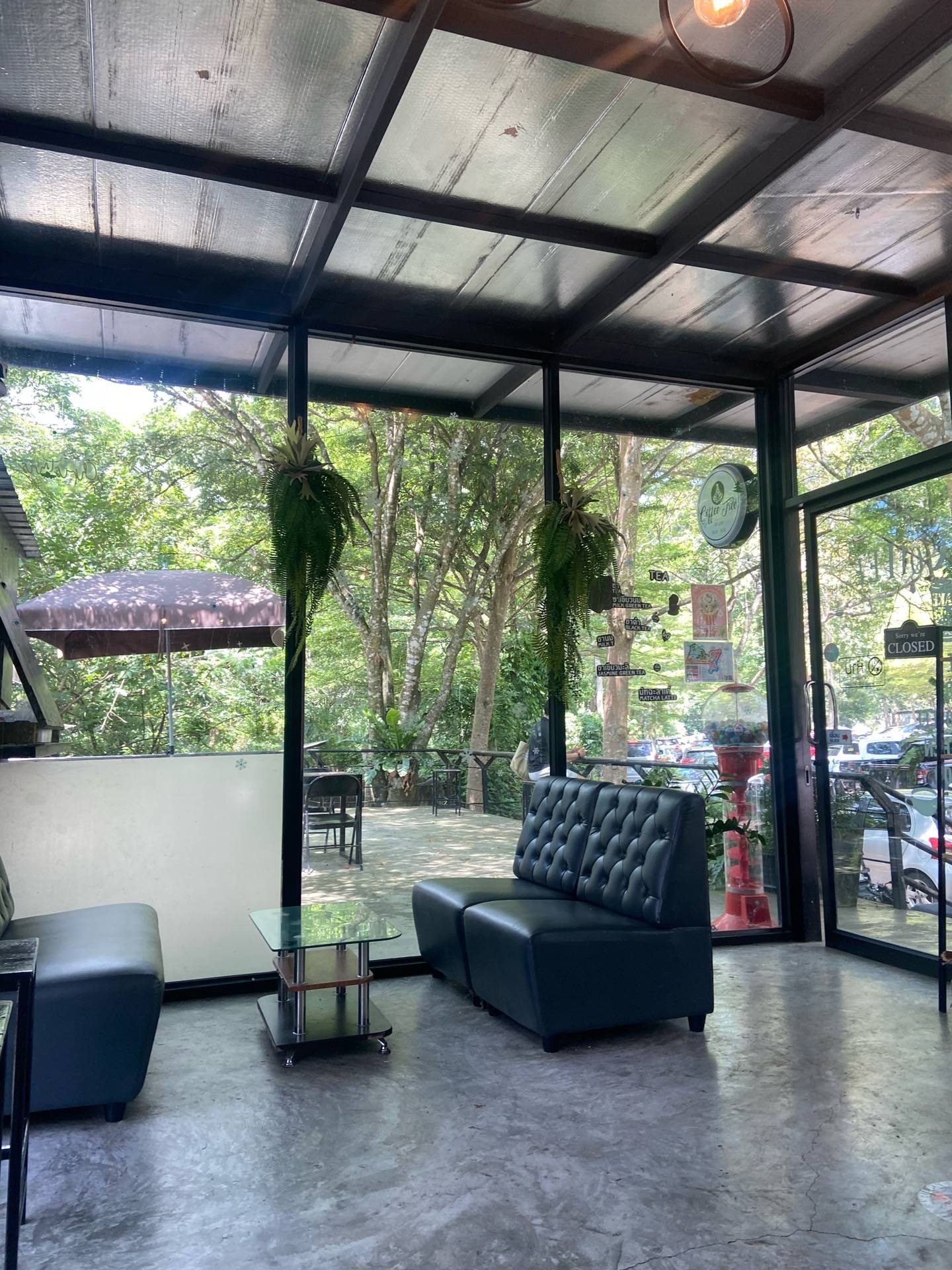 รีวิว Coffee Tree Loft Cafe’ - ร้านคาเฟ่ในสวนสัตว์เขาเขียว