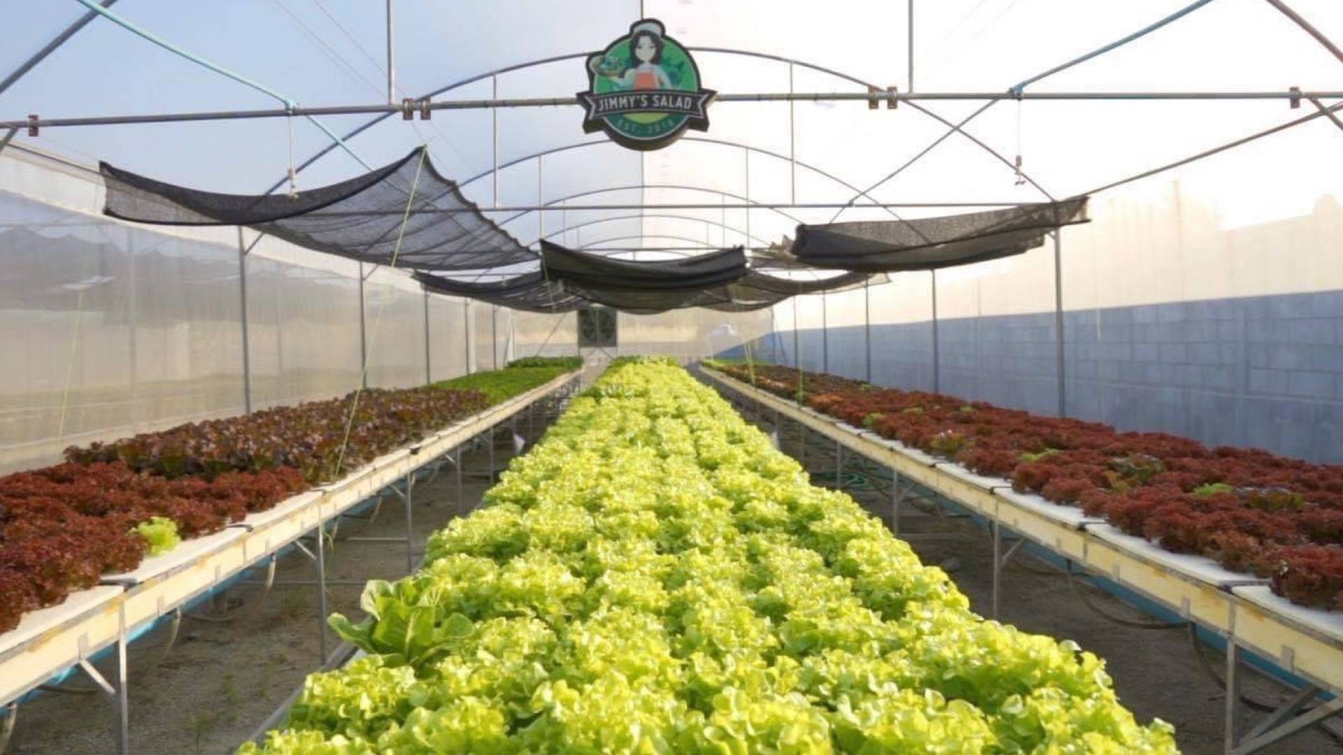 ร้าน Jimmy Farm (จิมมี่ ฟาร์ม)