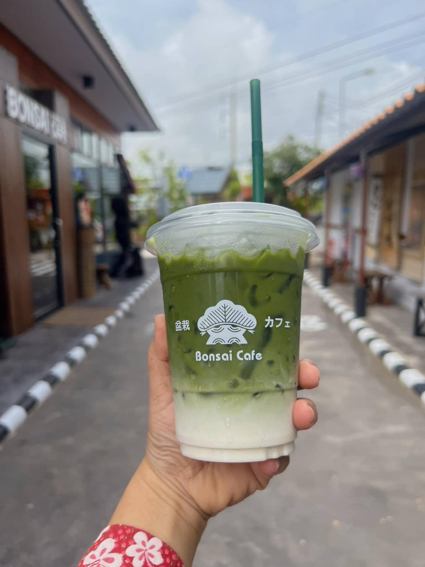 รีวิว Bonsai Cafe - - ร้านน่ารัก สไตล์ญี่ปุ่น สวนบอนไซ บ่อปลาคราฟ น้ำตก