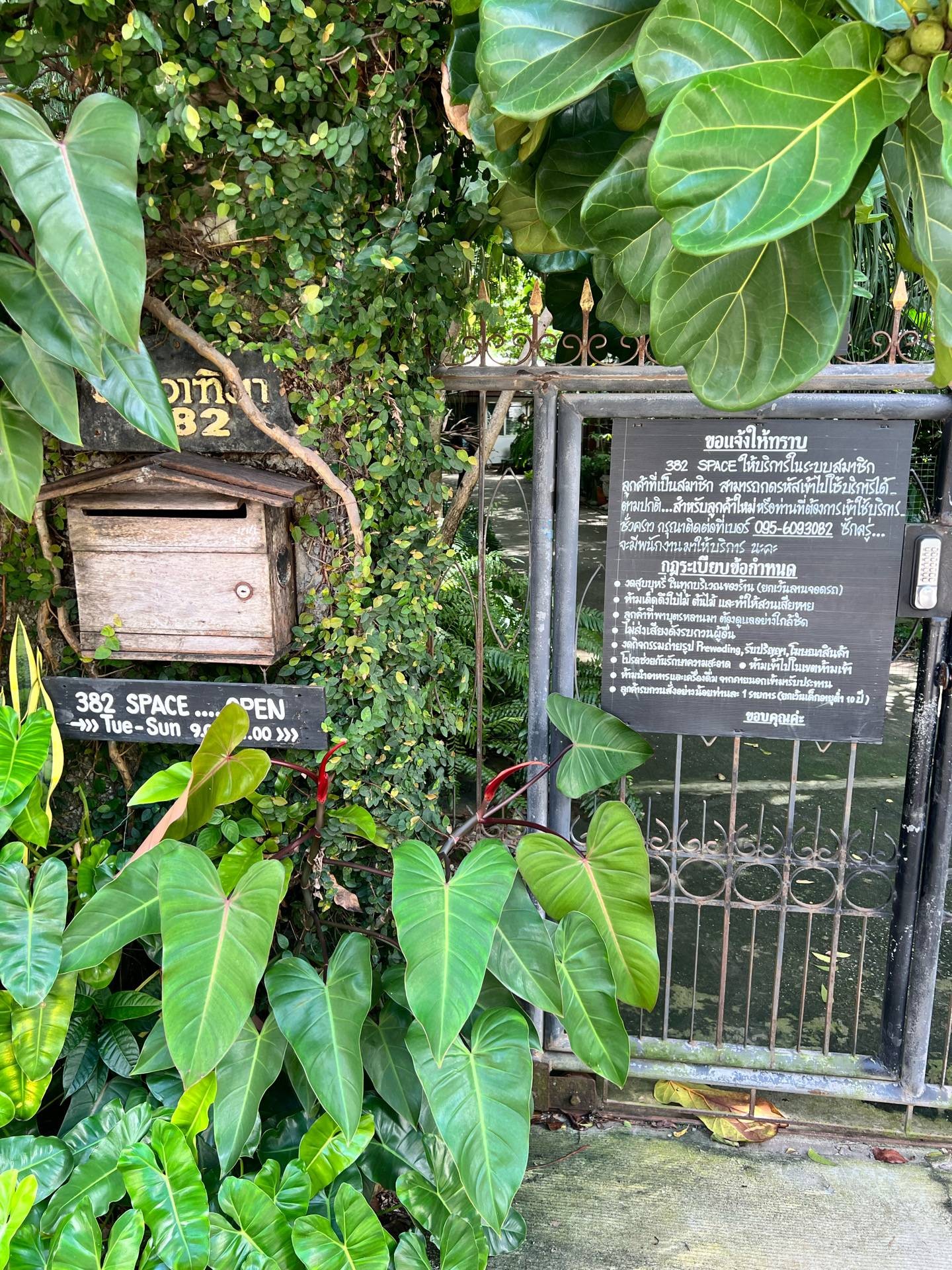 รีวิว 382 SPACE COFFEE & BAKERY - คาเฟ่ลึกลับ เหมือนมาเข้าบ้านคนอื่น