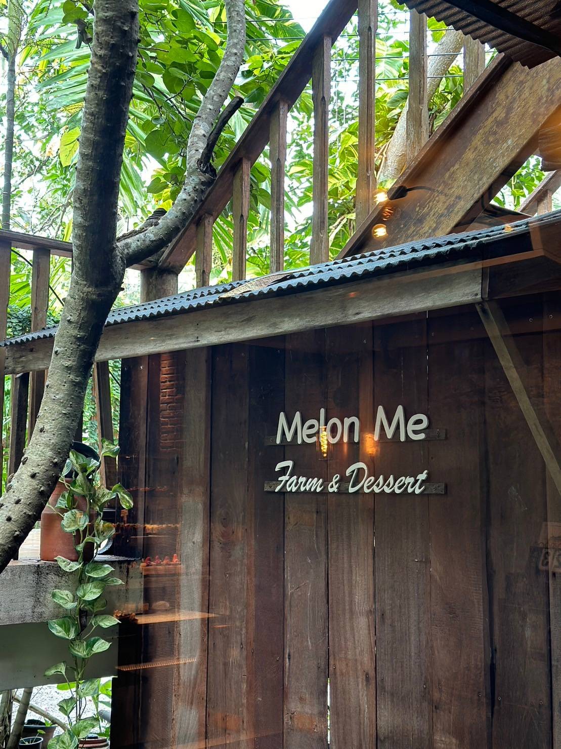 รีวิว Melon Me