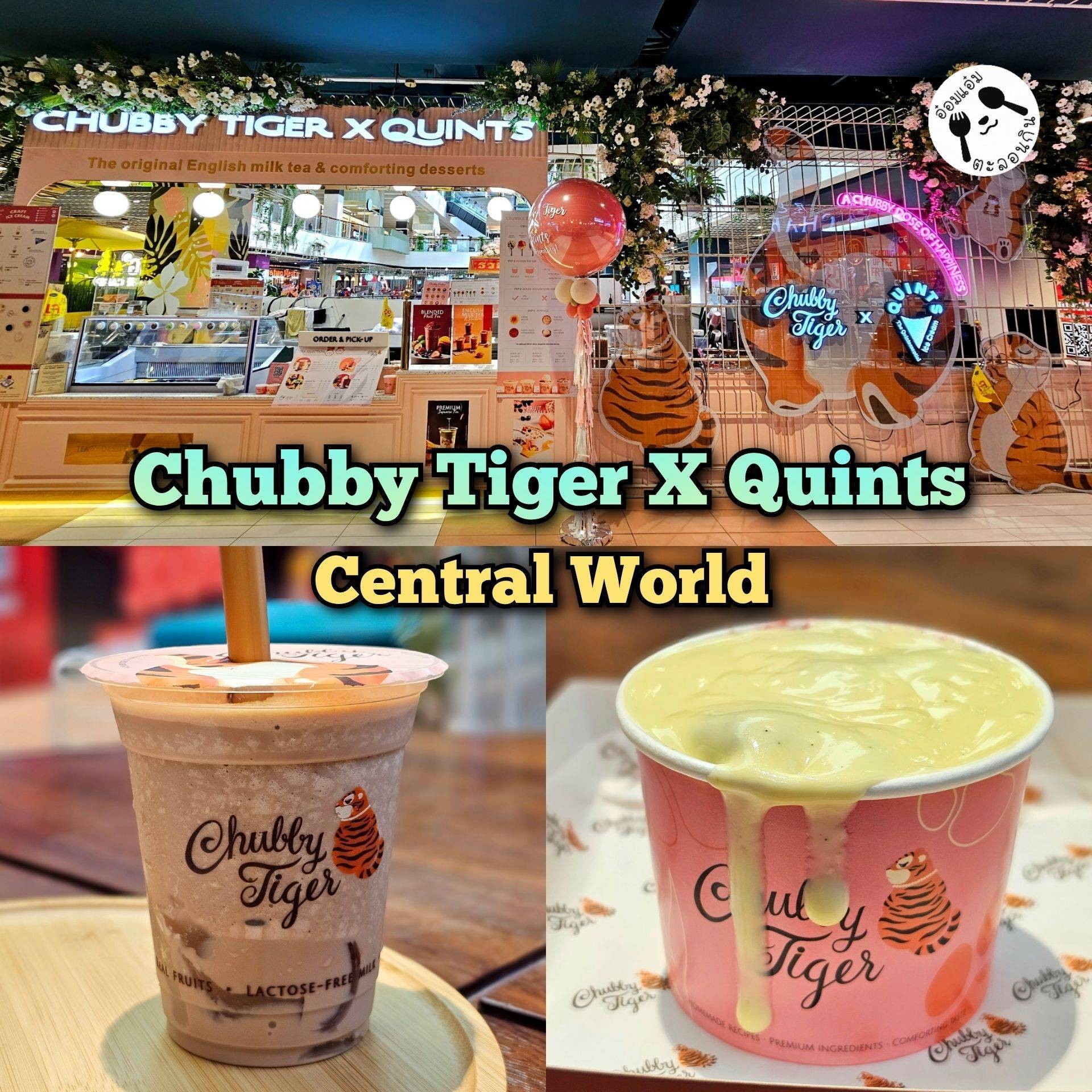 รีวิว Quints Ice Cream x Chubby Tiger (Bang Wa) บางหว้า - ร้านชานมเปิดใหม่ ctw ชั้น 6
