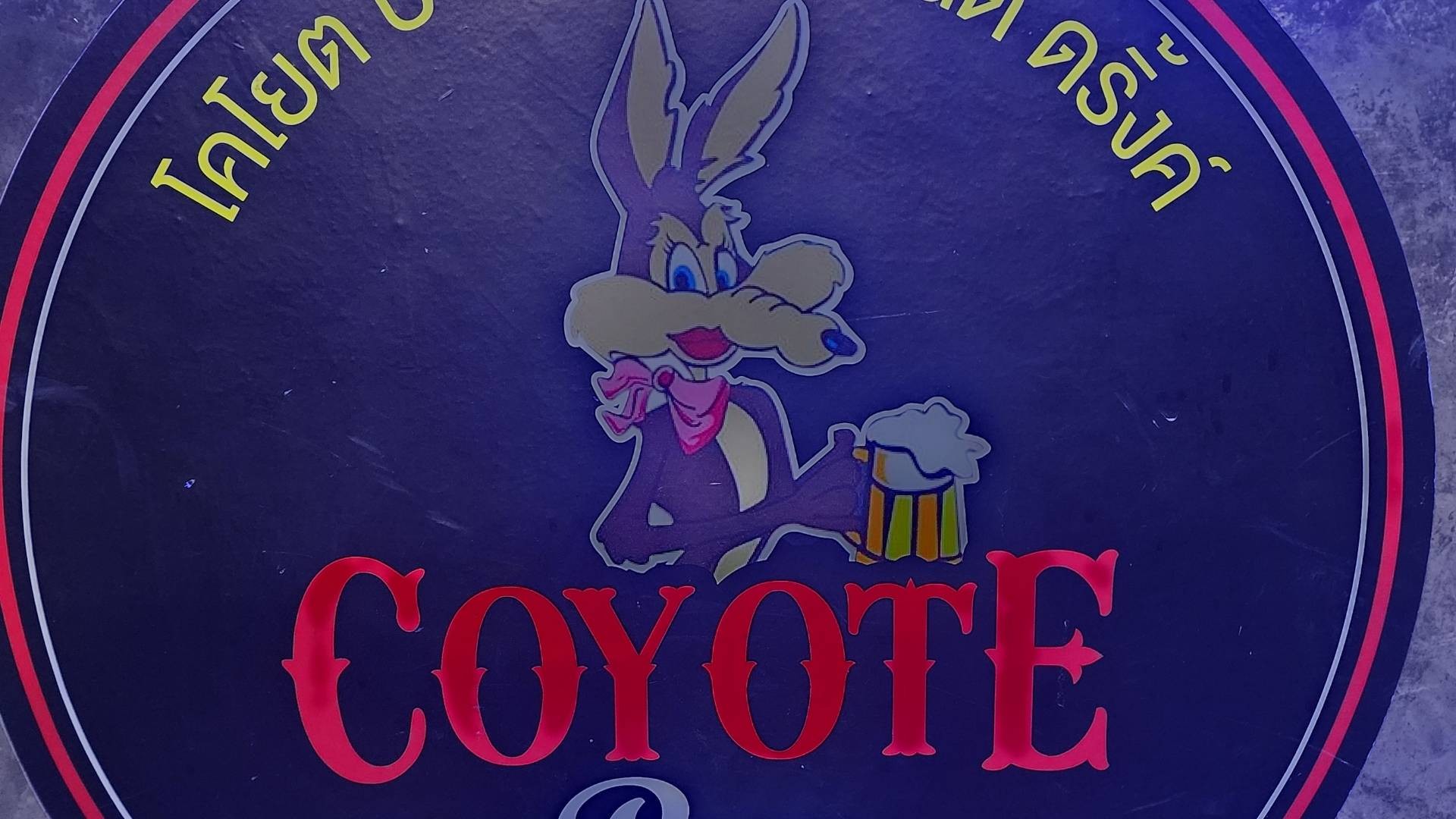 ร้าน Coyote restaurants & drinks | รีวิวร้านอาหาร