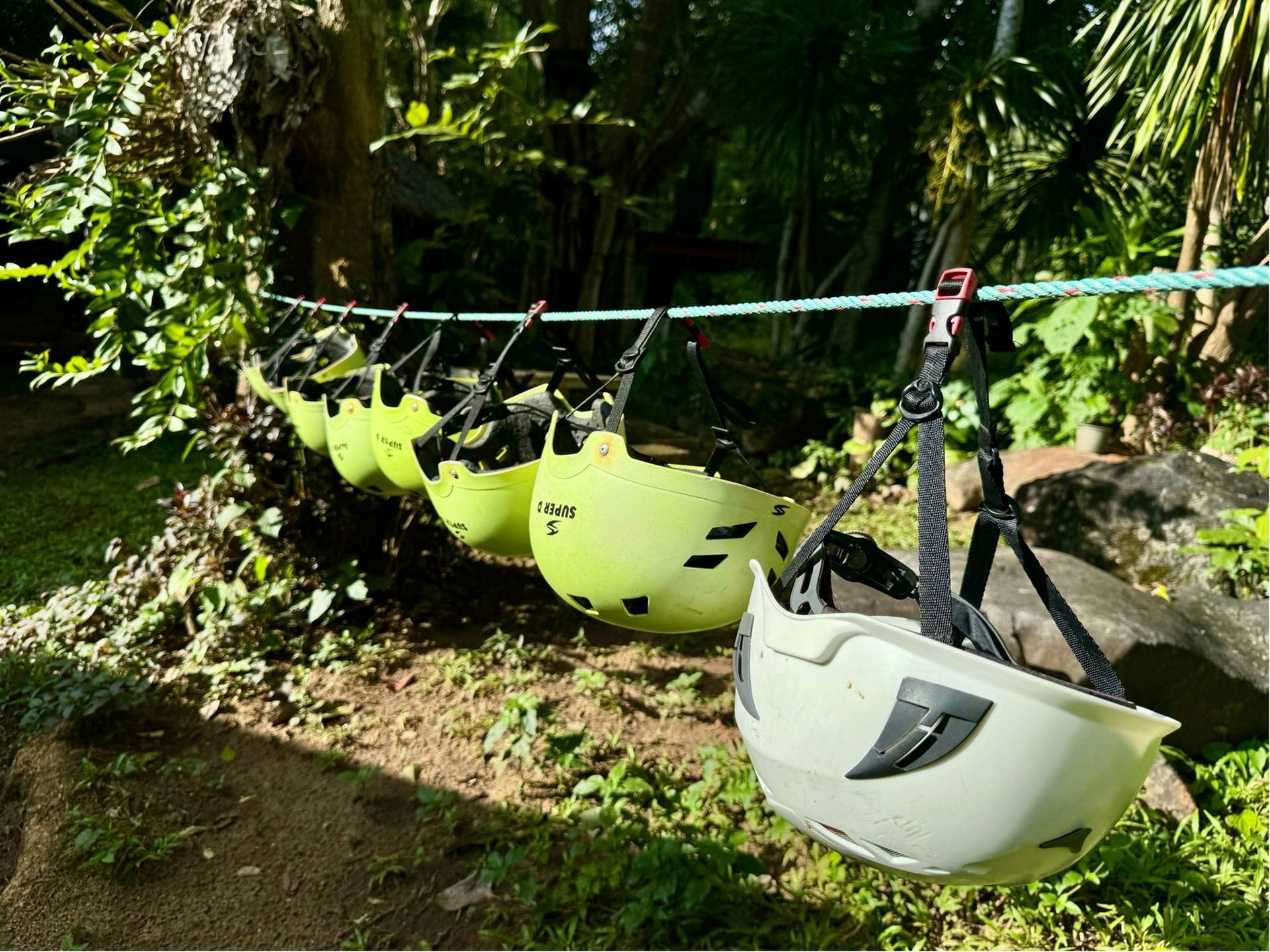 รีวิว Treetop Adventure Park