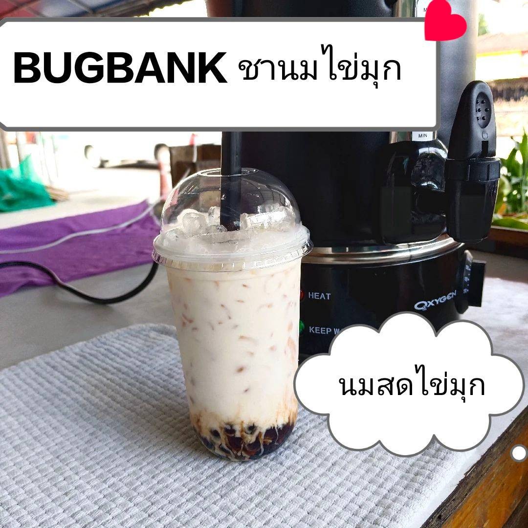 ร้าน BUGBANK ชานมไข่มุก BUGBANK ชานมไข่มุก | รีวิวร้านอาหาร