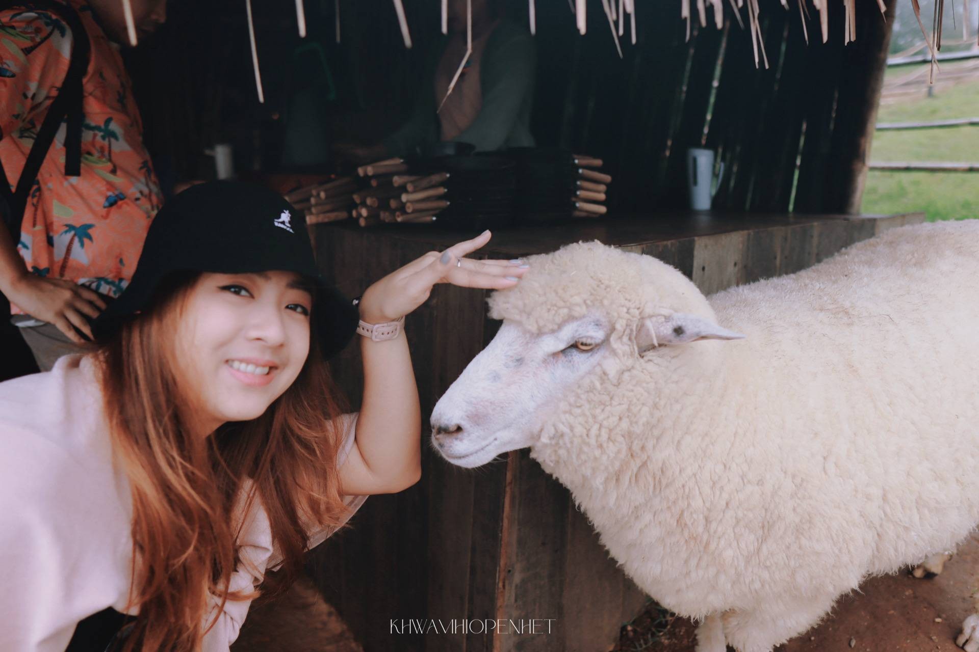 รีวิว Akha Farmville - Akha FarmVille