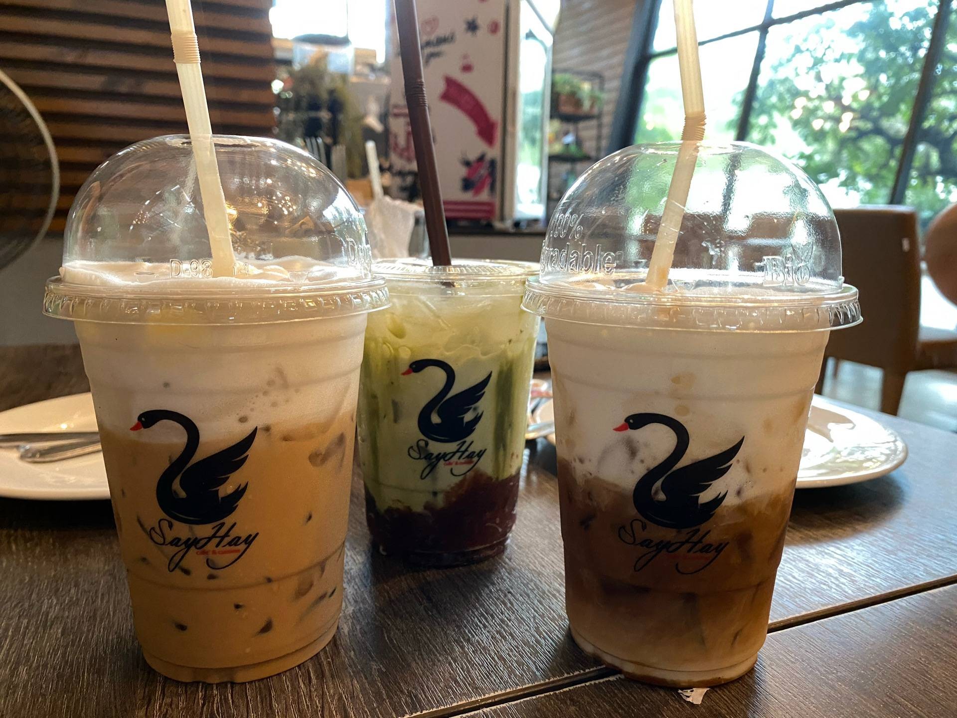 รีวิว Say Hay Cafe & Cuisine - คาเฟ่สัตว์ สัตว์เยอะ สวยงาม สะอาด ถูกใจเด็กๆ