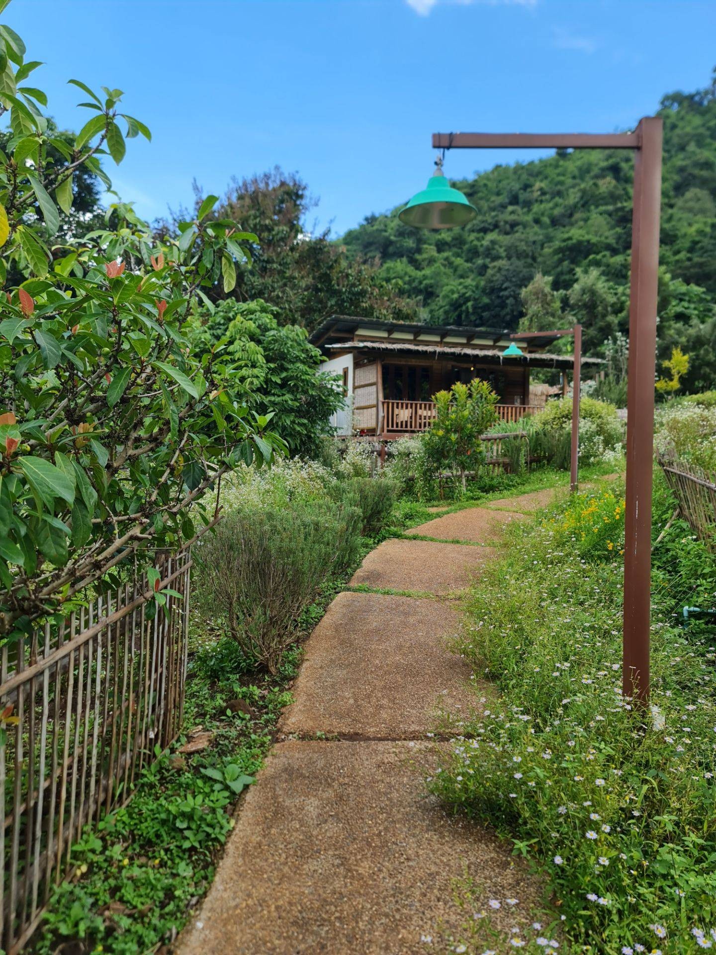 รูป Mori Natural Farm