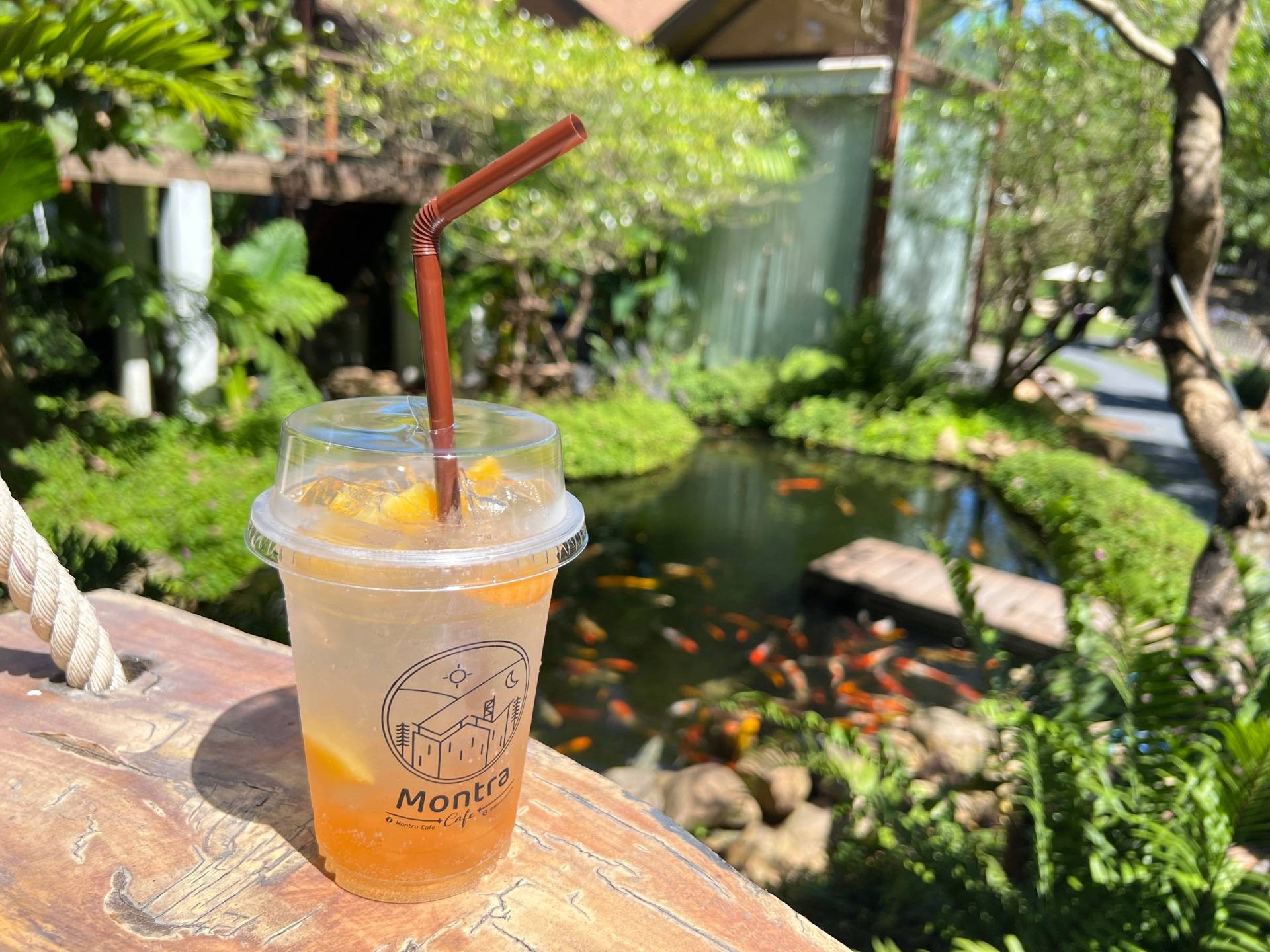 ร้าน Montra cafe by ไร่วังบอน | รีวิวร้านอาหาร