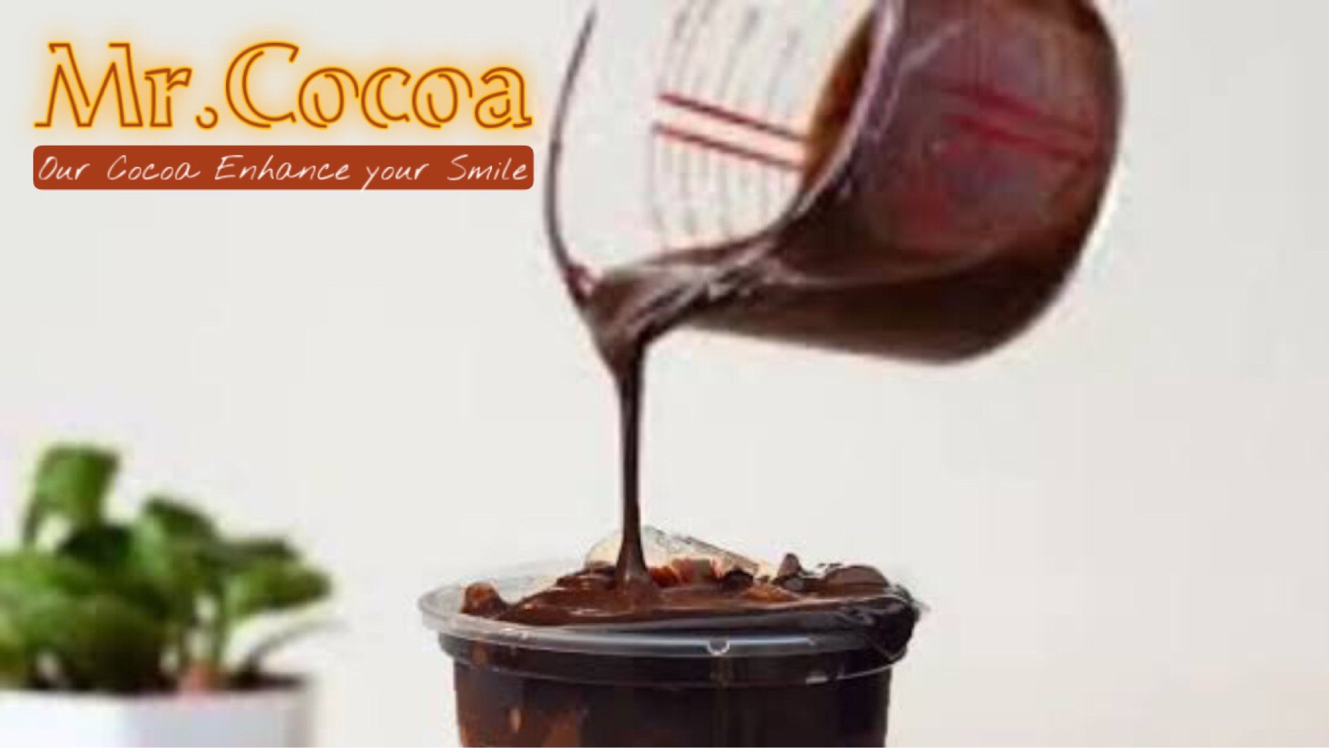 มิสเตอร์โกโก้ : Mr.Cocoa พายัพ | สั่งอาหารออนไลน์ล่วงหน้า รับที่ร้าน ...