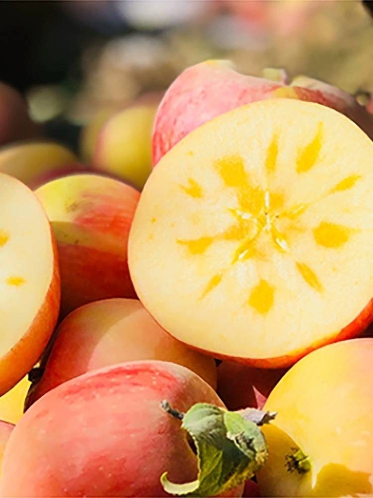 Bring Fruit 悦之鲜 鲜果 - สั่งอาหารเดลิเวอรี | Wongnai x LINE MAN