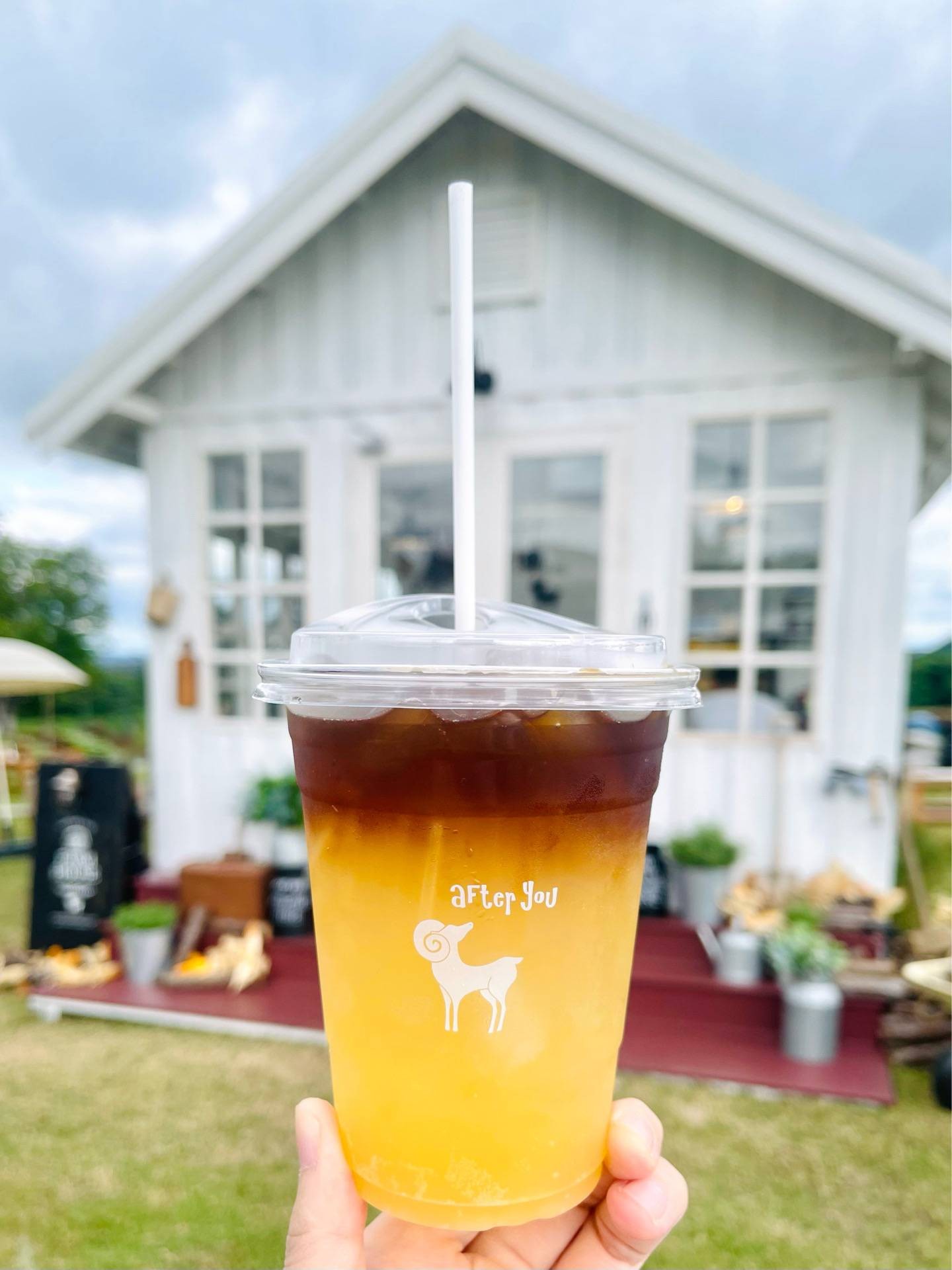 รีวิว Midwinter Green - After You📍Midwinter เขาใหญ่