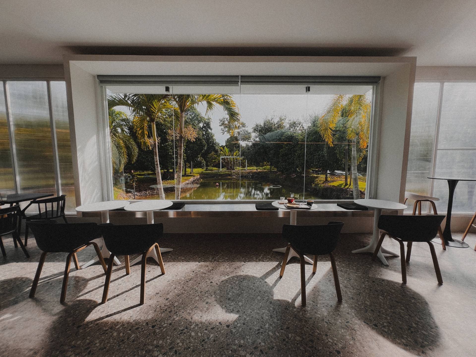 รูป Black Lab rayong