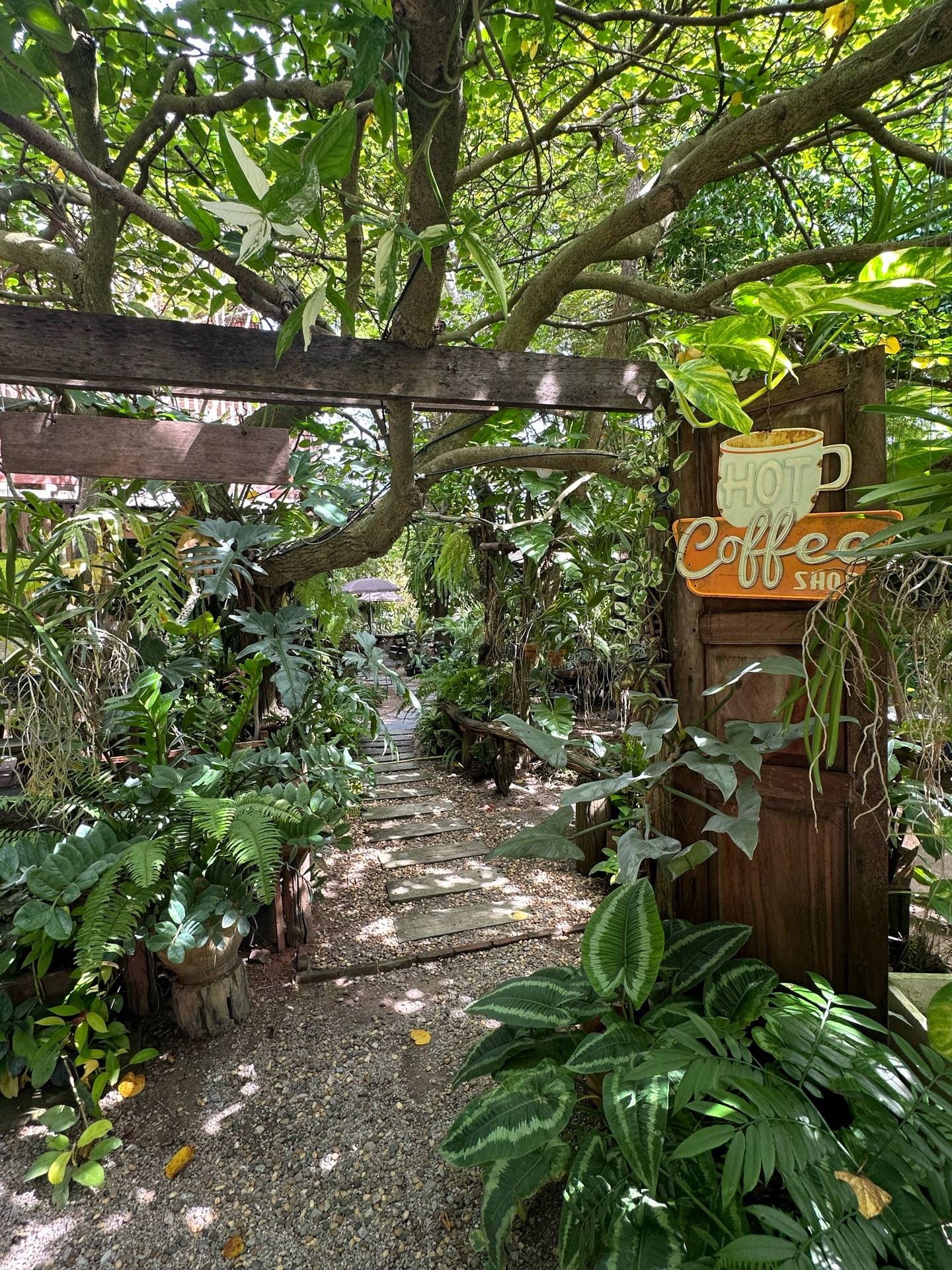 รีวิว Melon Me - ร้านบรรยากาศดี ร่มรื่น กาแฟจืด ราคาแรง