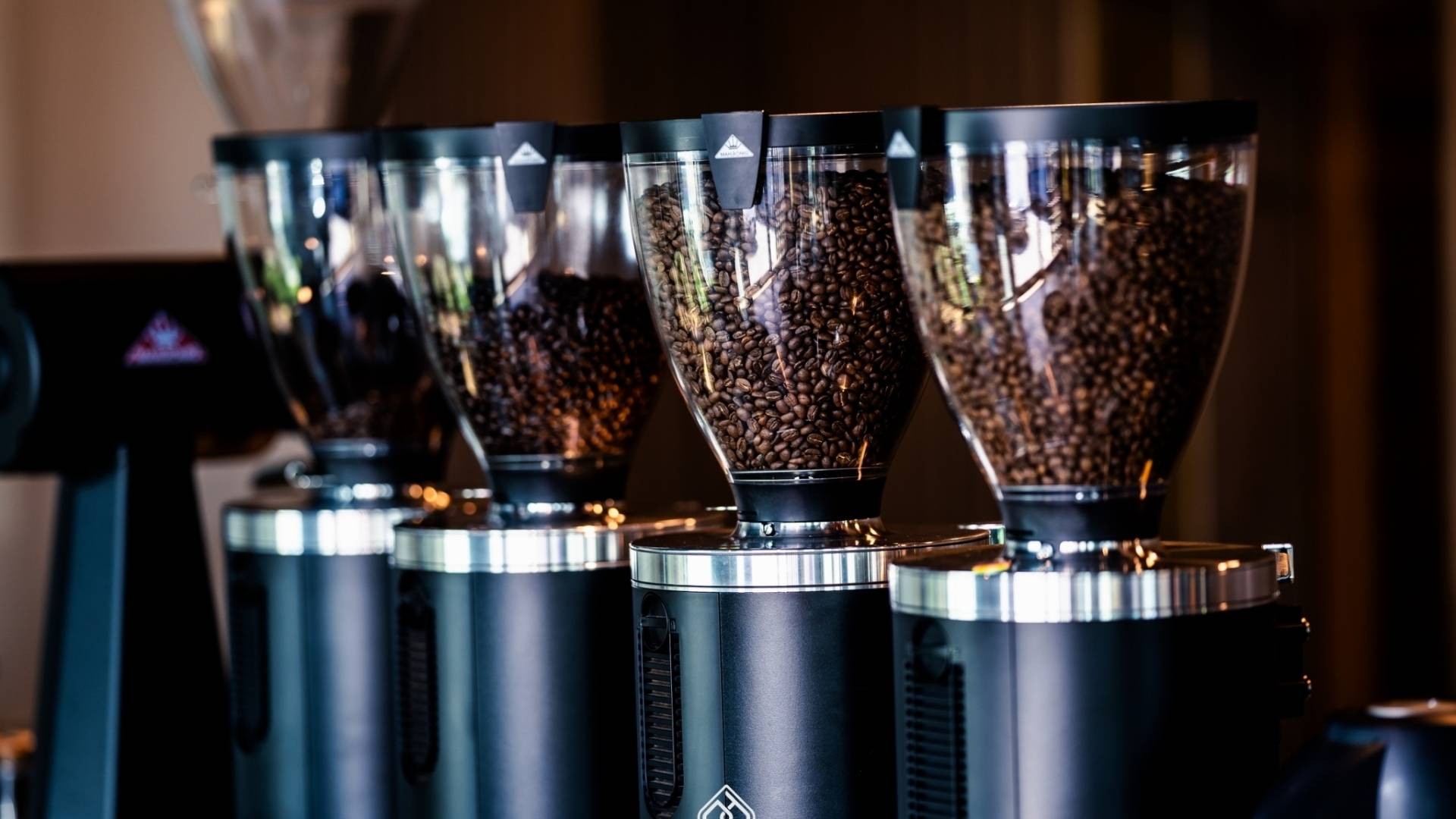 361 THREE SIX ONE (Roi et) ร้อยเอ็ด - สั่งอาหารเดลิเวอรี | Wongnai x ...