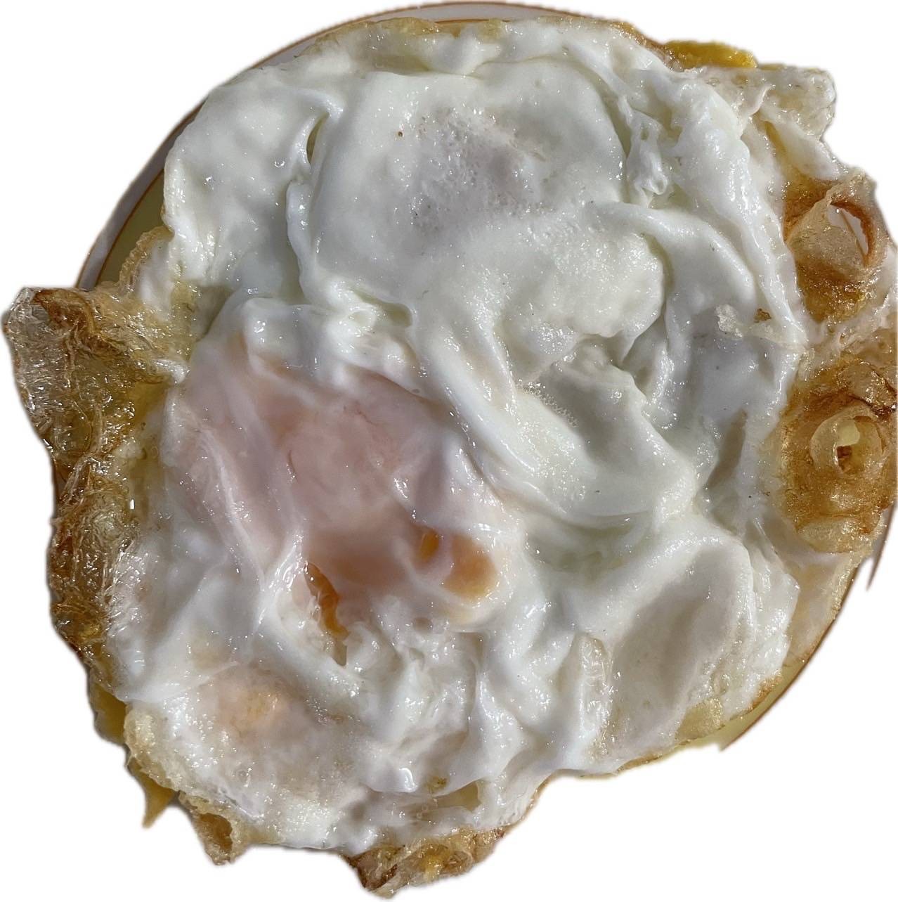 กะเพรา_area65 - สั่งอาหารเดลิเวอรี | Wongnai x LINE MAN