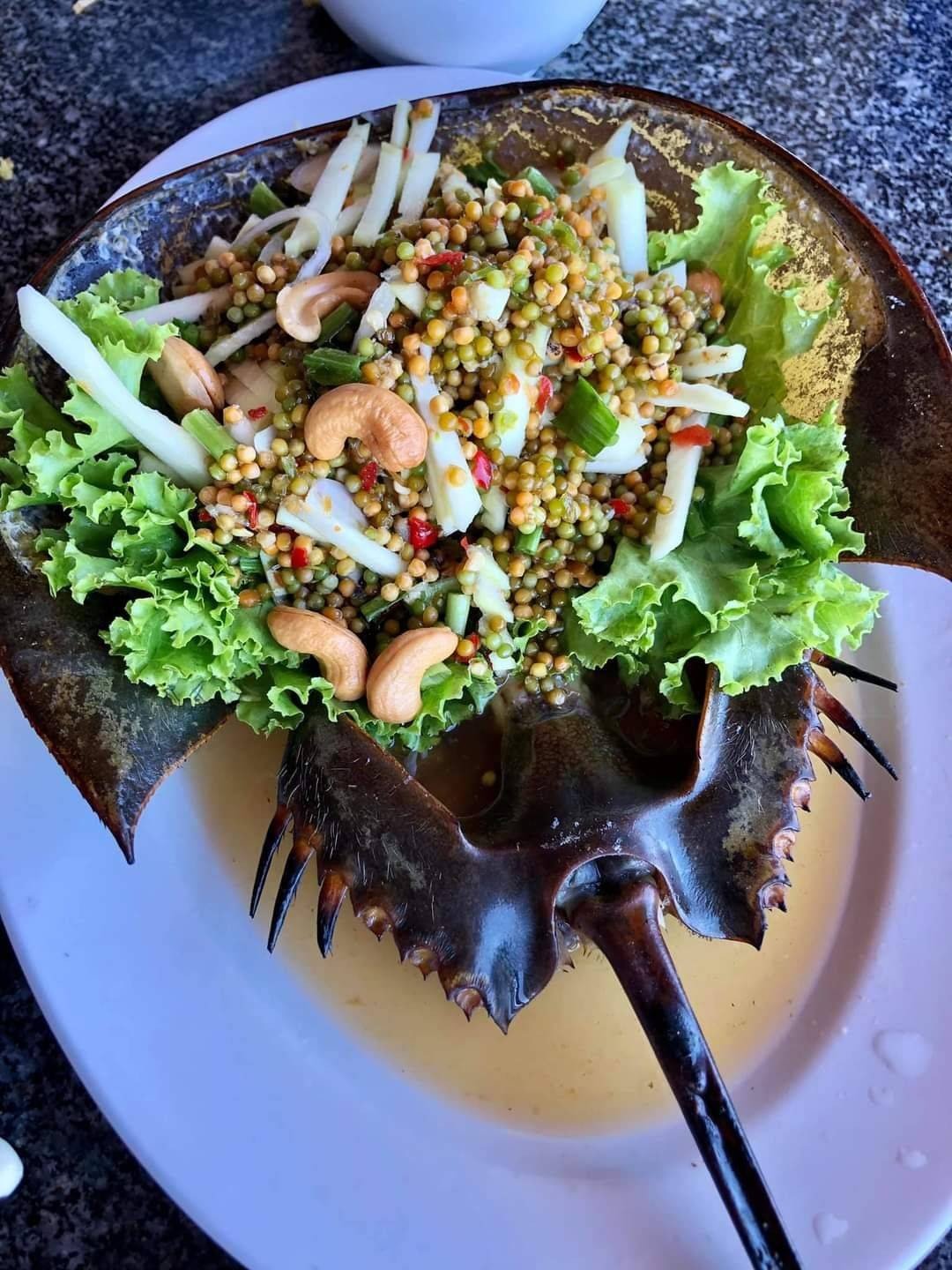 รูป มุมอร่อย นาเกลือ