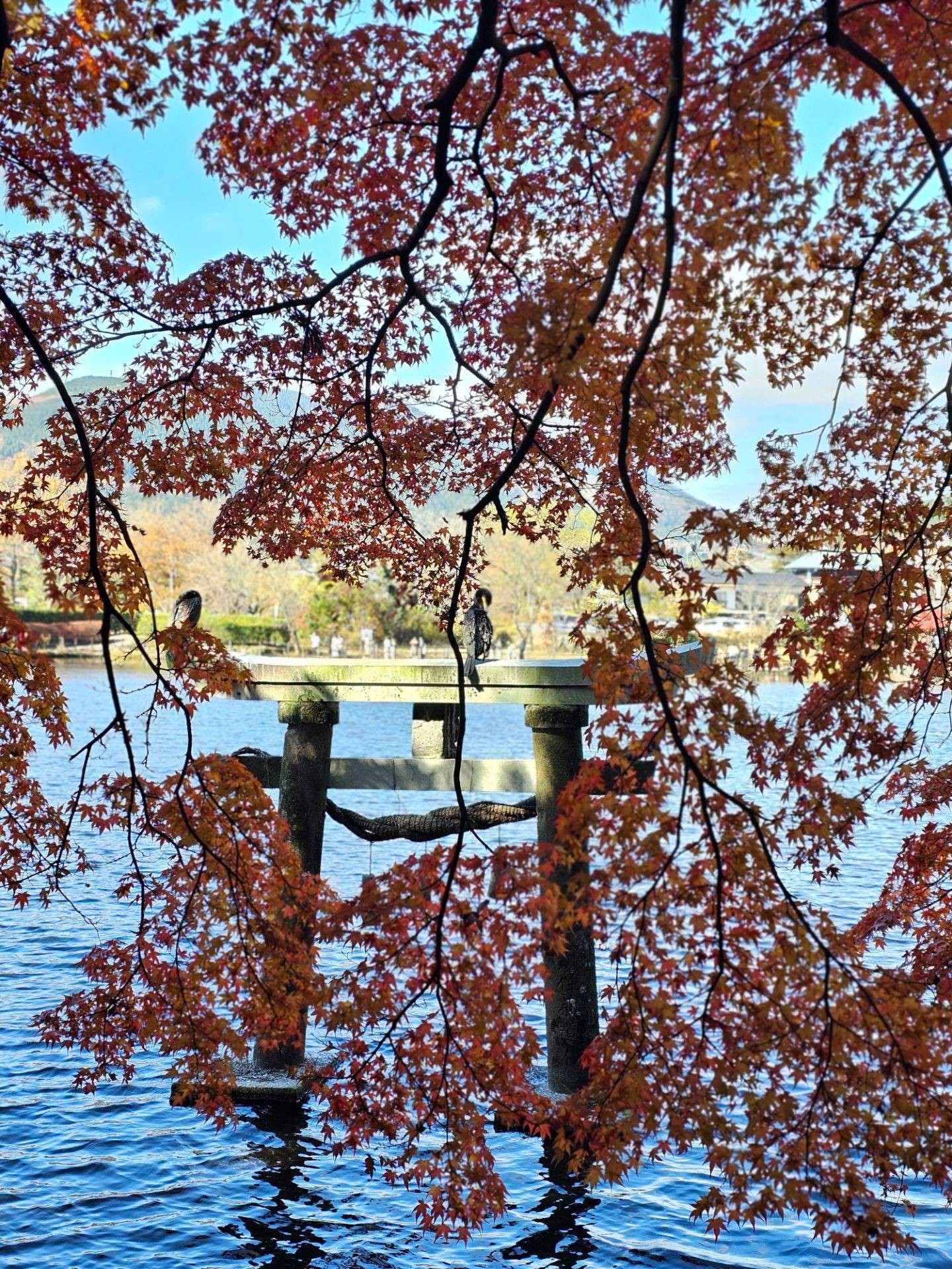 รีวิว Lake Kinrin - วิวทะเลสาบสวยงามช่วงใบไม้เปลี่ยนสีอากาศหนาวอยู่นะ