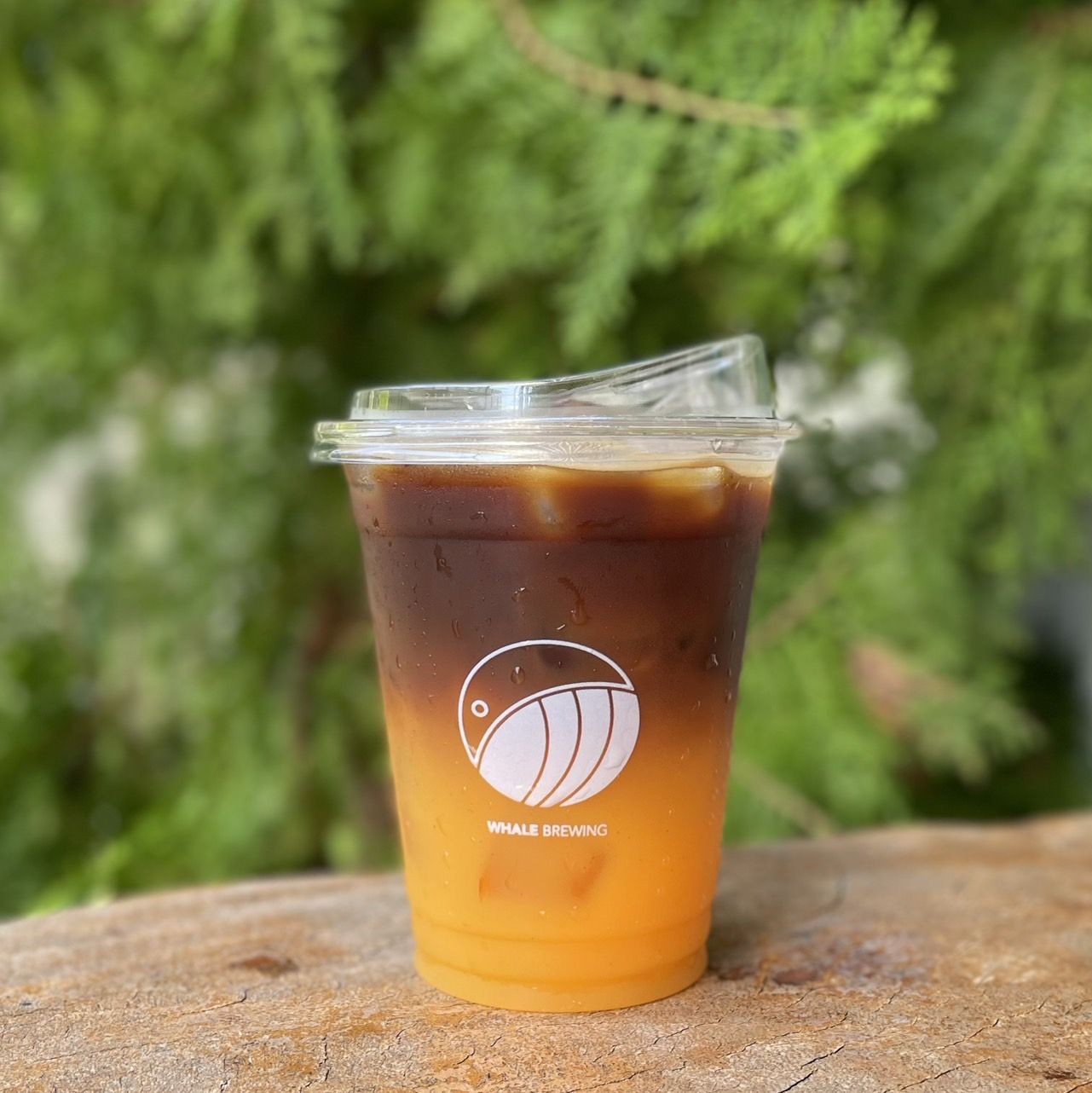ร้าน Whale Brewing Specialty Coffee | รีวิวร้านอาหาร