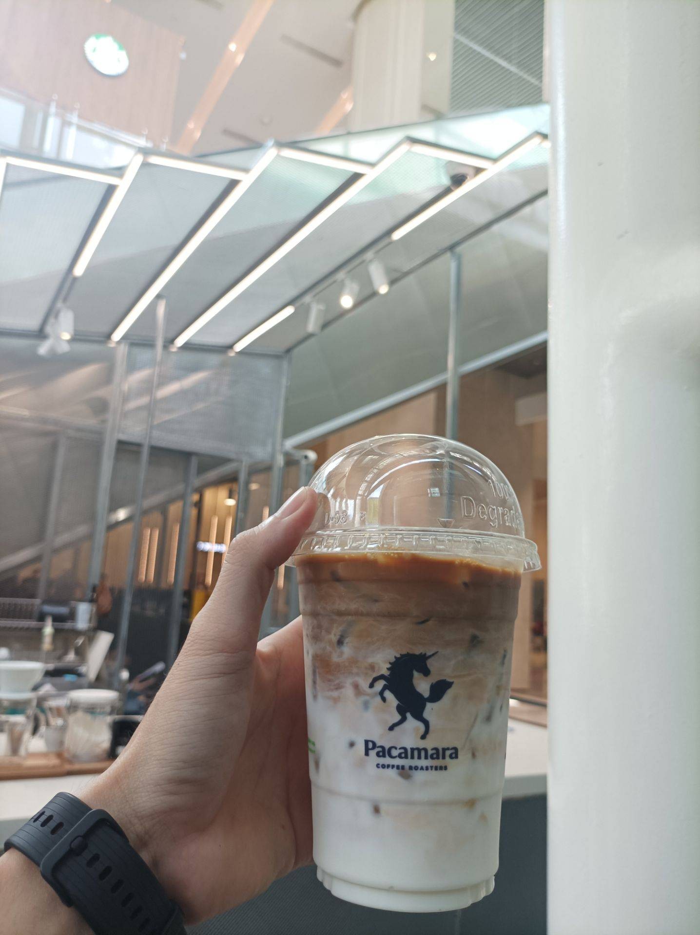 รีวิว PACAMARA The Offices at CentralWorld - ร้านกาแฟใน Central World