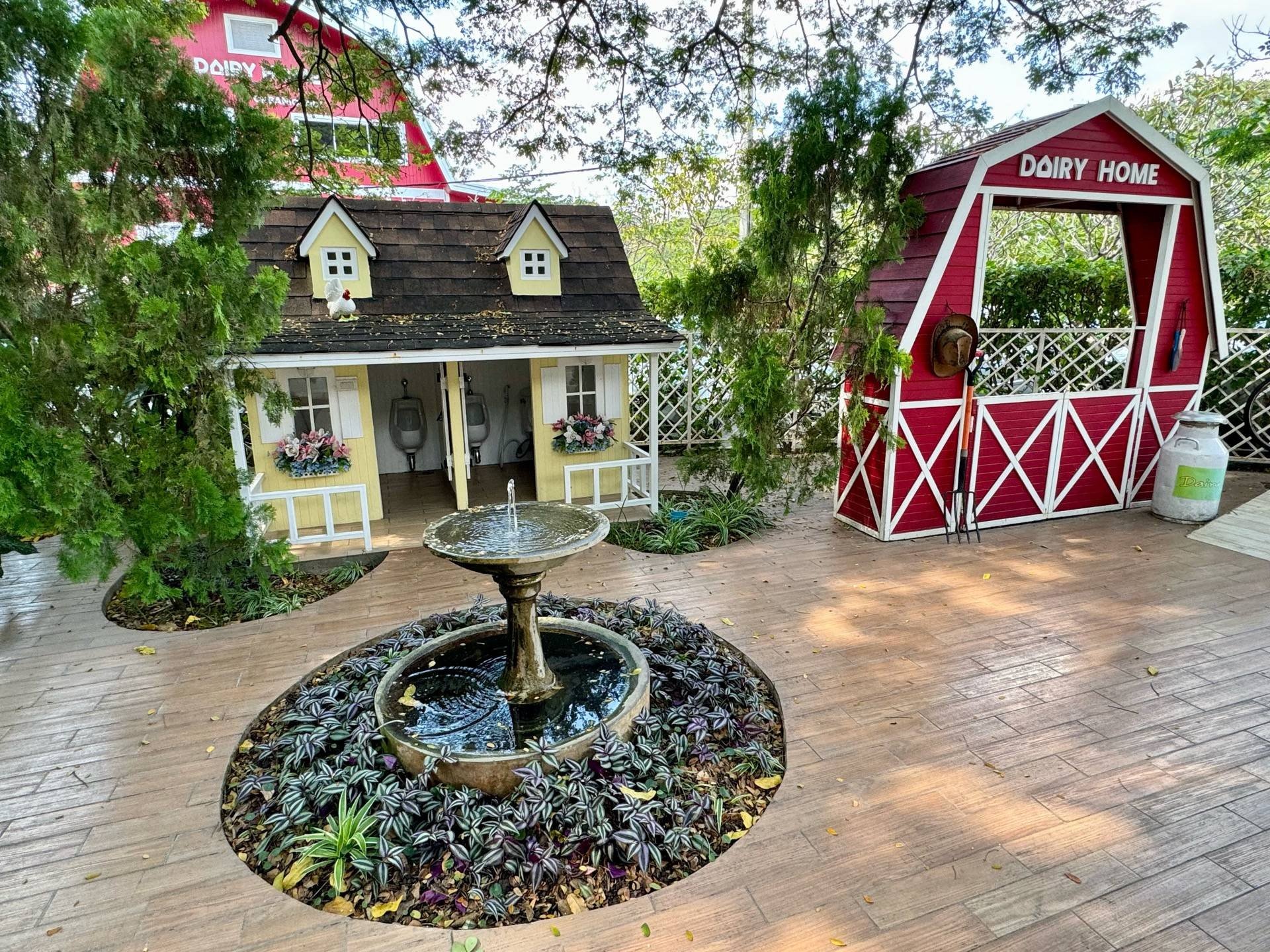 รูป แดรี่โฮมชมสวน 2