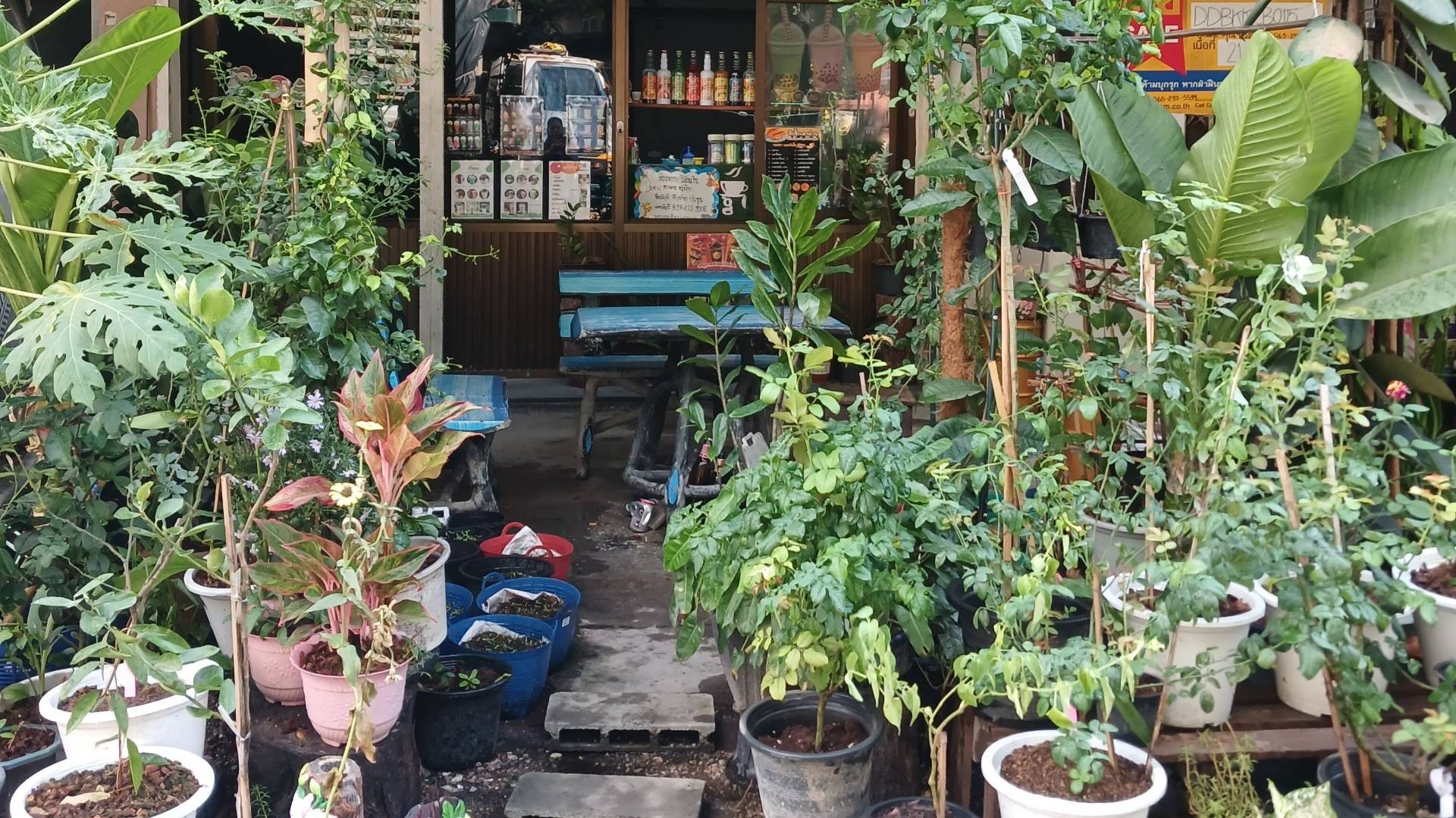 Pifang Cafe' & Bang - สั่งอาหารเดลิเวอรี | Wongnai x LINE MAN