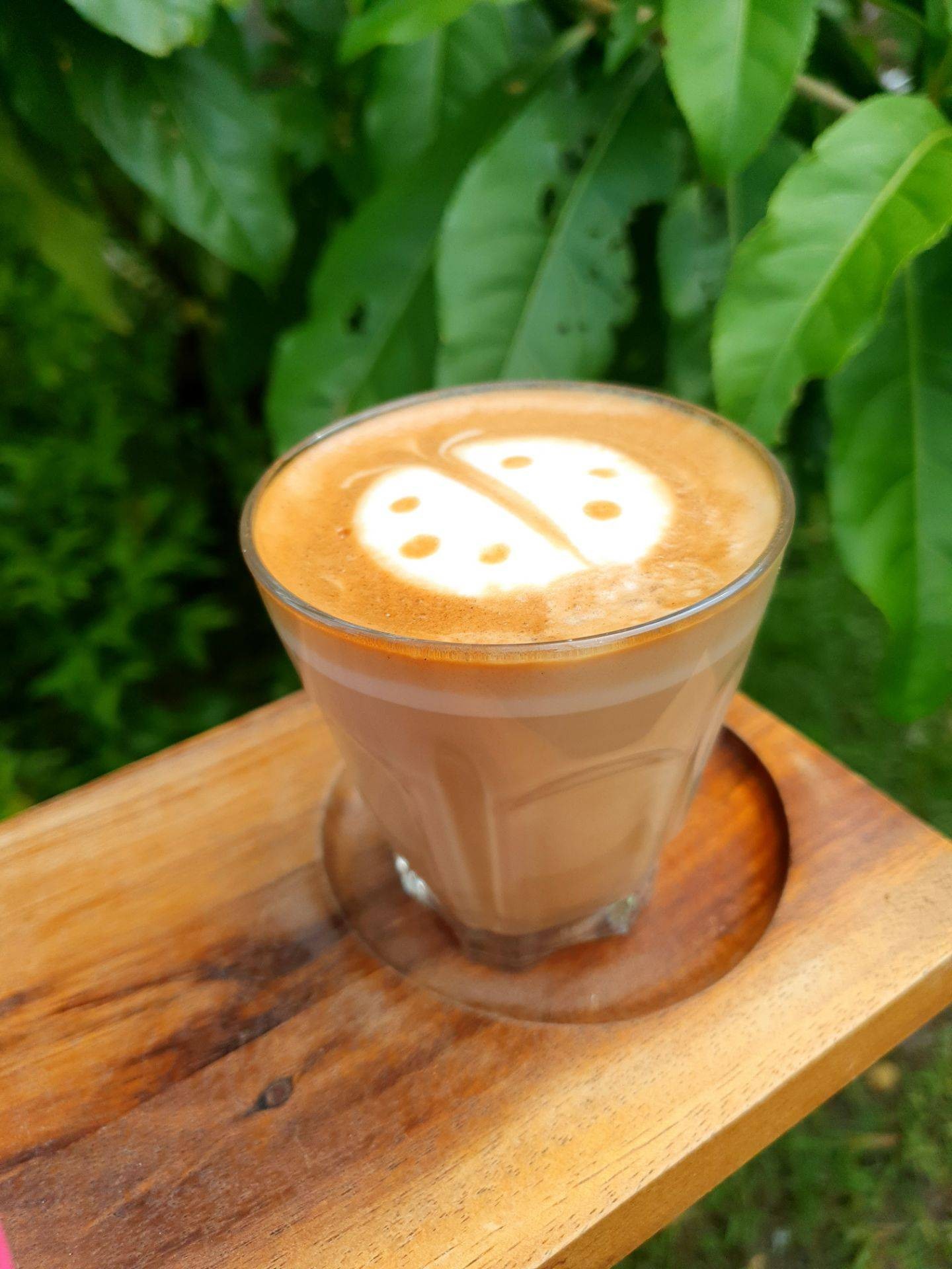 ร้าน Miss Island Bakery&Restaurant | รีวิวร้านอาหาร
