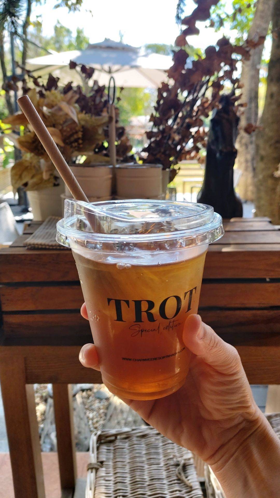 รีวิว Trot Cafe,Khaoyai - ชอบที่นี่มาก ใครมาเขาใหญ่แนะนำ