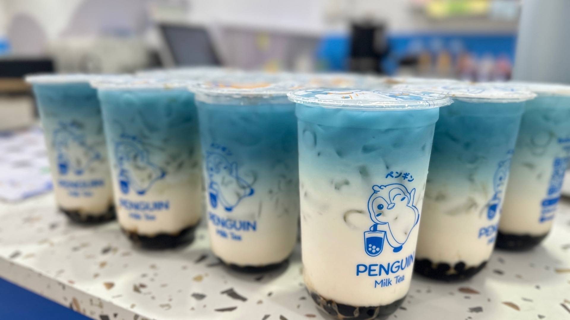 ร้าน PENGUIN MILK TEA โครงการจริงใจวิลเลจ | รีวิวร้านอาหาร