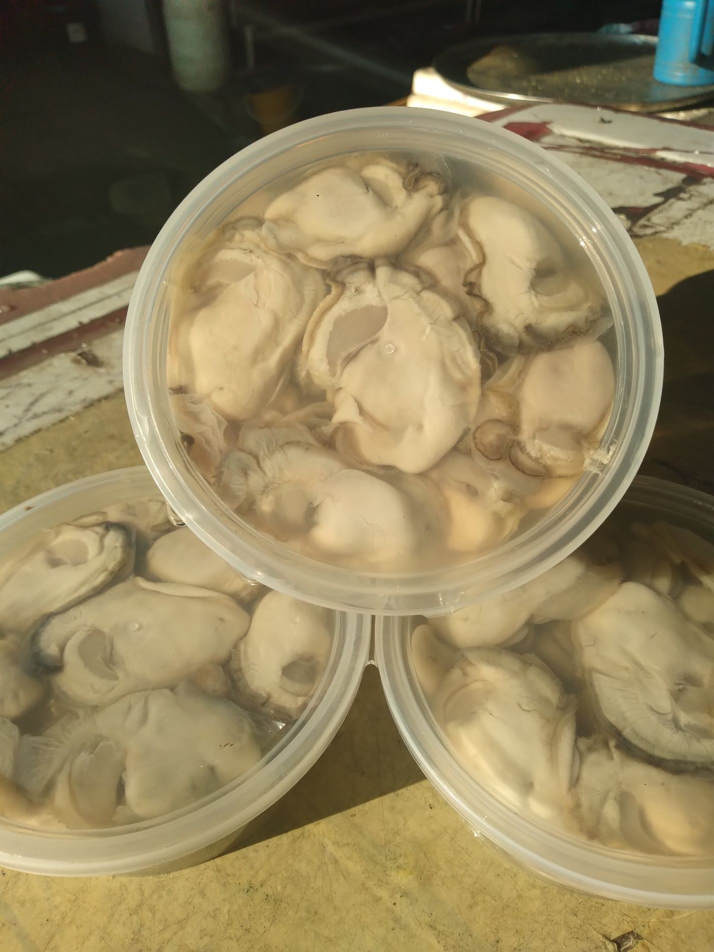 ร้าน เจ๊ติ๋มกุ้งสด ตลาดเทเวศร์ (J.Tim seafood Thewet Market)
