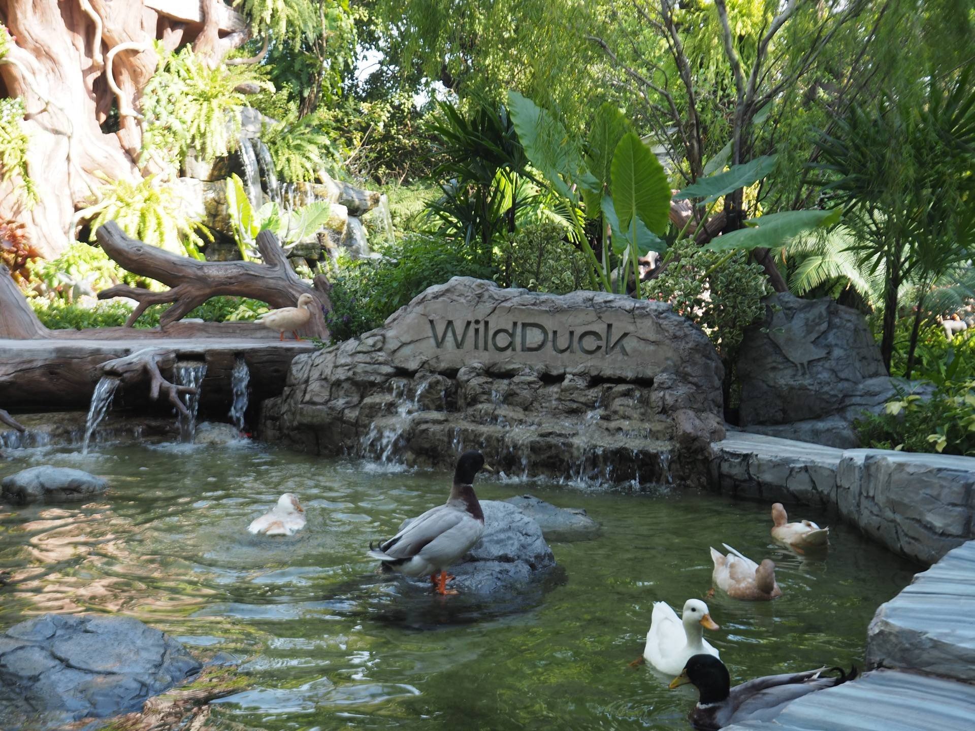 รูป WildDuck Cafe มีนบุรี
