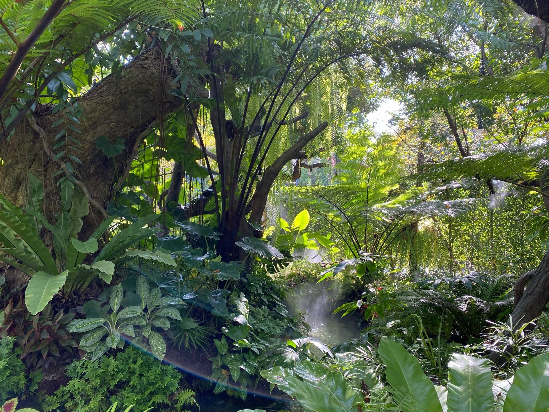 รีวิว The Tall Trees Cafe and Bistro - ร้านอาหารในสวนสวย