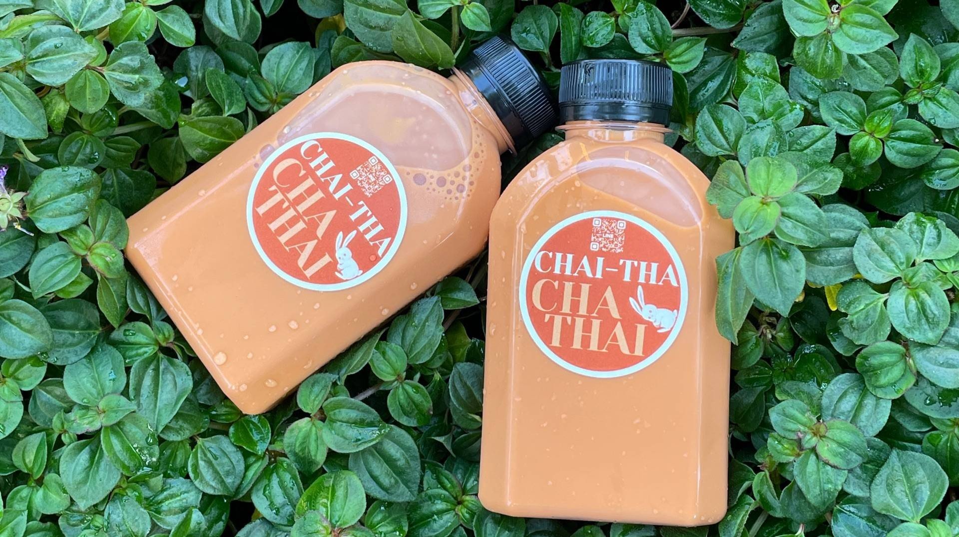 ชาไทย CHAI-THA - สั่งอาหารเดลิเวอรี | Wongnai x LINE MAN