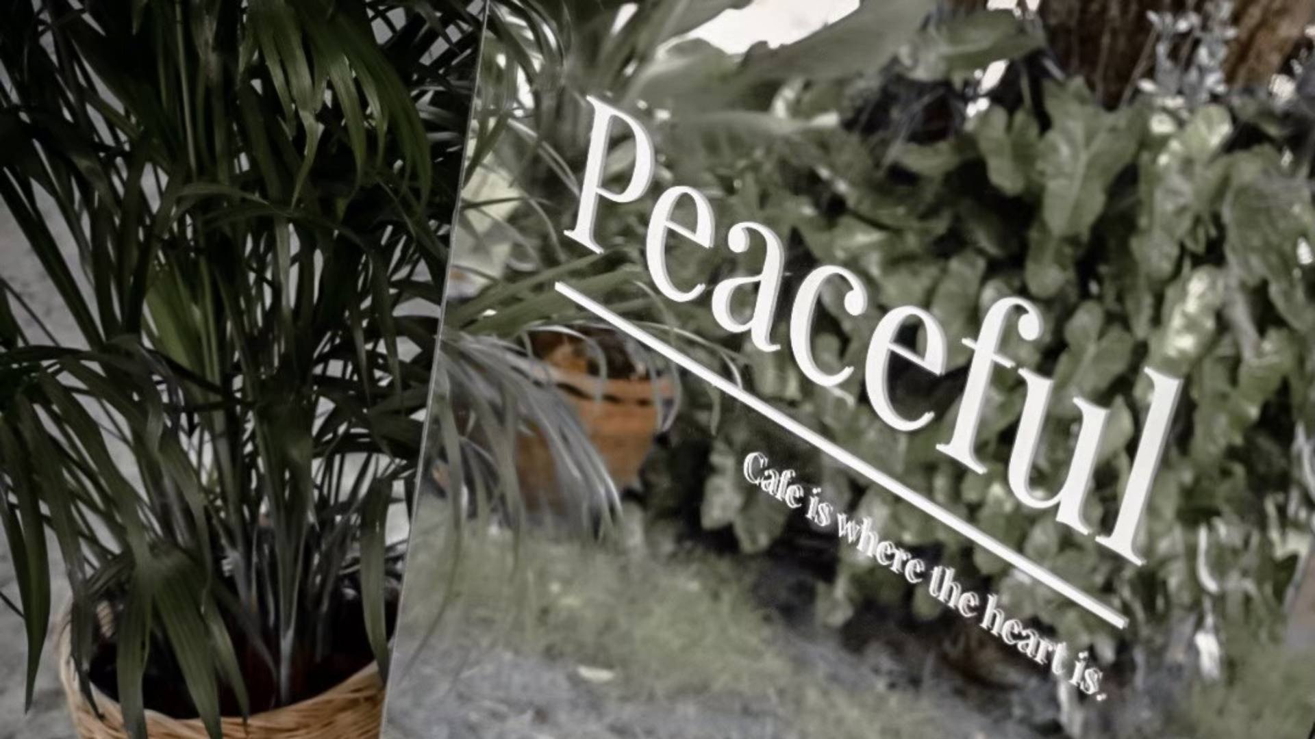 Peaceful Cafe - สั่งอาหารเดลิเวอรี | Wongnai x LINE MAN