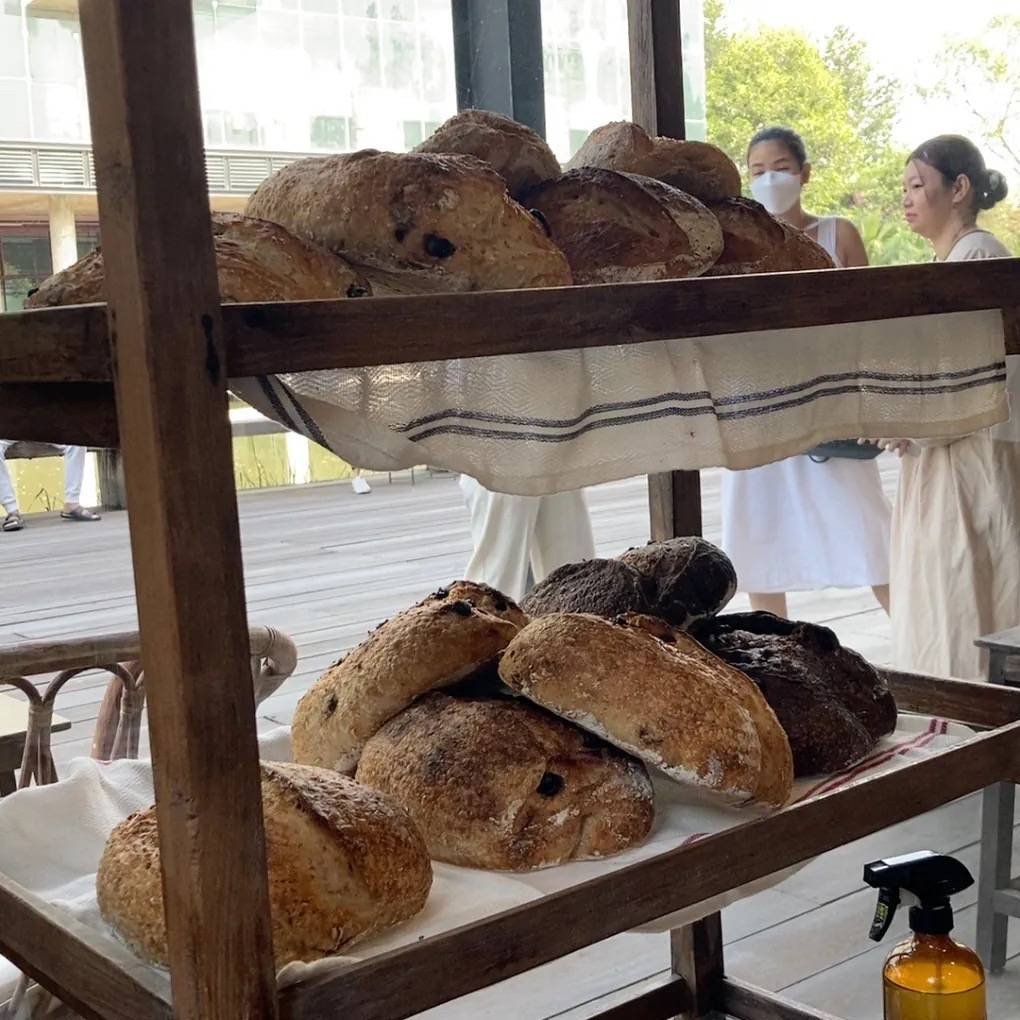 รีวิว Little Tree Grocery มหิดล ศาลายา - ร้านสวยคลาสสิคมาก