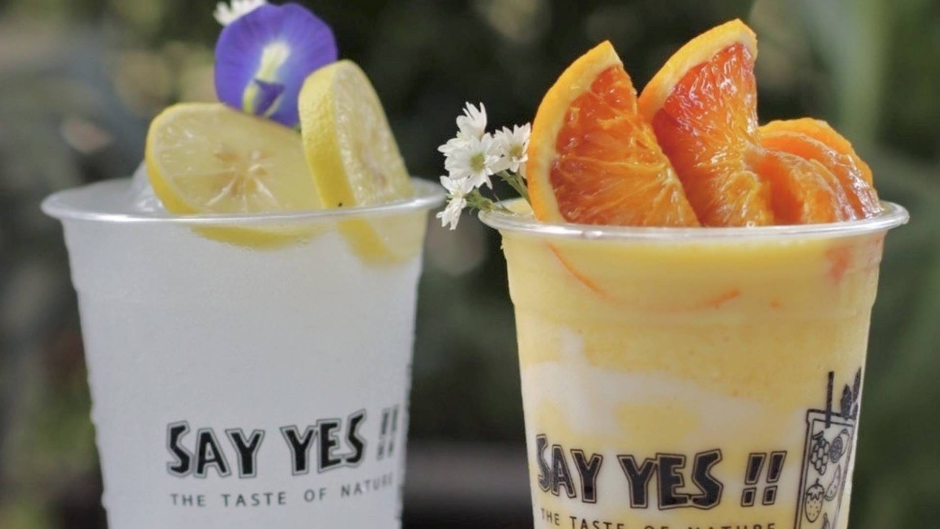 Say Yes Smoothie and Bistro Say Yes สาขาร้านข้าวแกงอ้วนเปรี้ยววัดบูรพ์ ...