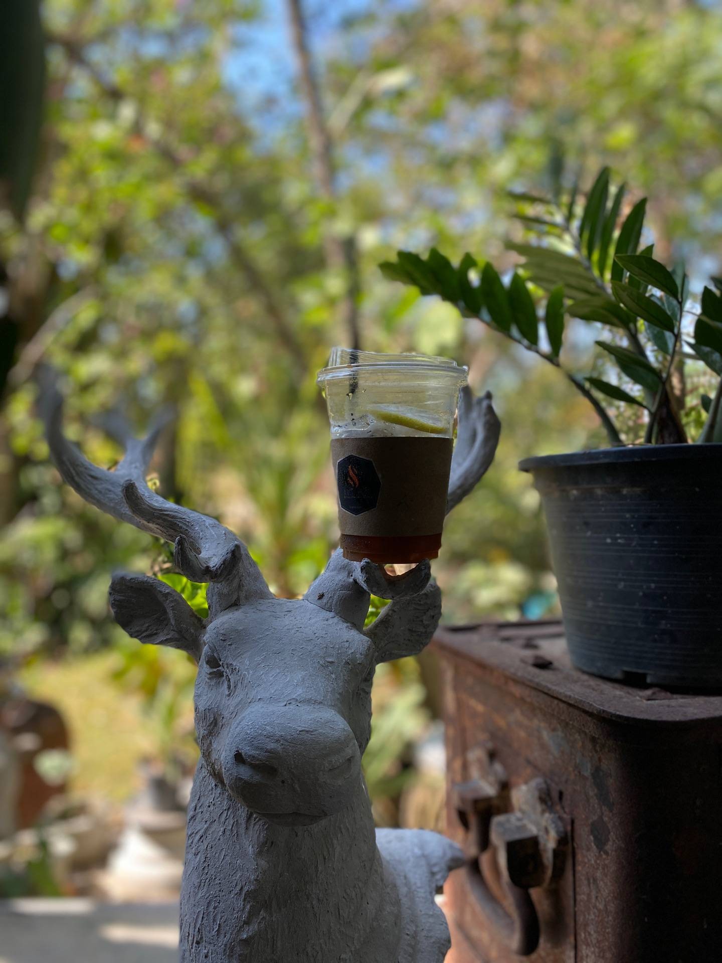 รีวิว 12 Brix - ผมติดใจกับลาเต้ร้อนคั่วเข้ม อยากทานทุกวัน เค้าเป็นคาเฟ่ที่ทำให้ผมทานกาแฟเบิ้ลสอง ...