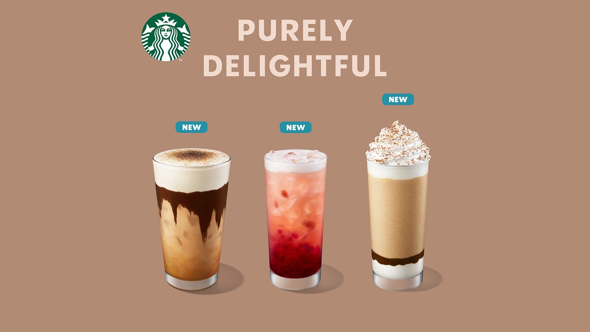 บทความ ร้าน Starbucks เดอะพาซิโอ กาญจนาภิเษก - Wongnai