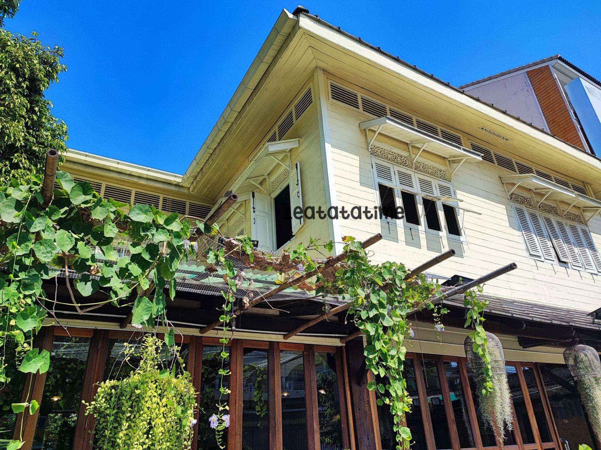 รีวิว Treestory café - คาเฟ่สวยในสวน